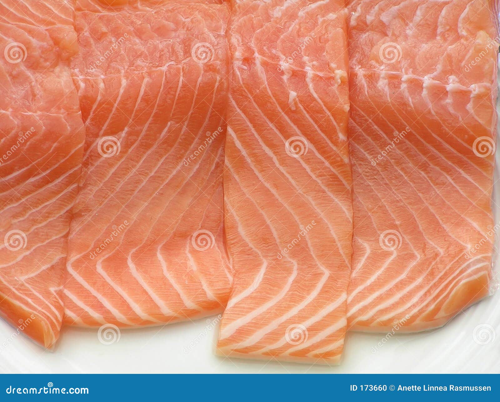 Salmon filet stock photo. Image of filet, fillet, salmon - 173660