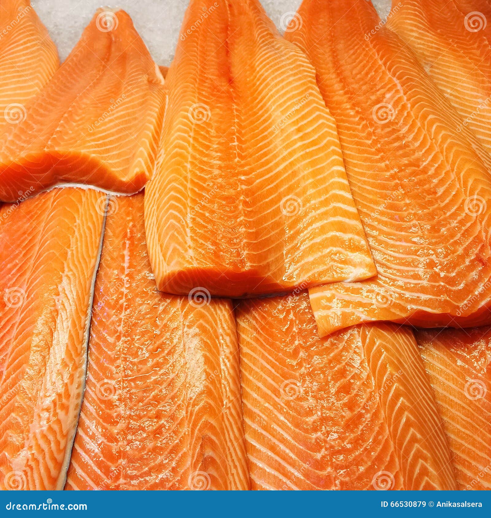 Salmon Fillet at the Fish Market Stock Image - Image of fresh, texture ...