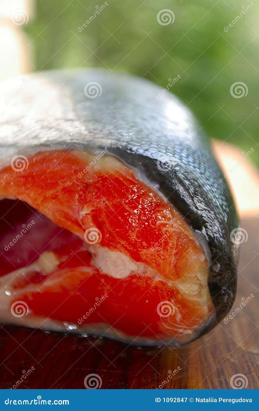 Salmon fish stock image. Image of healthy, dish, redfish - 1092847