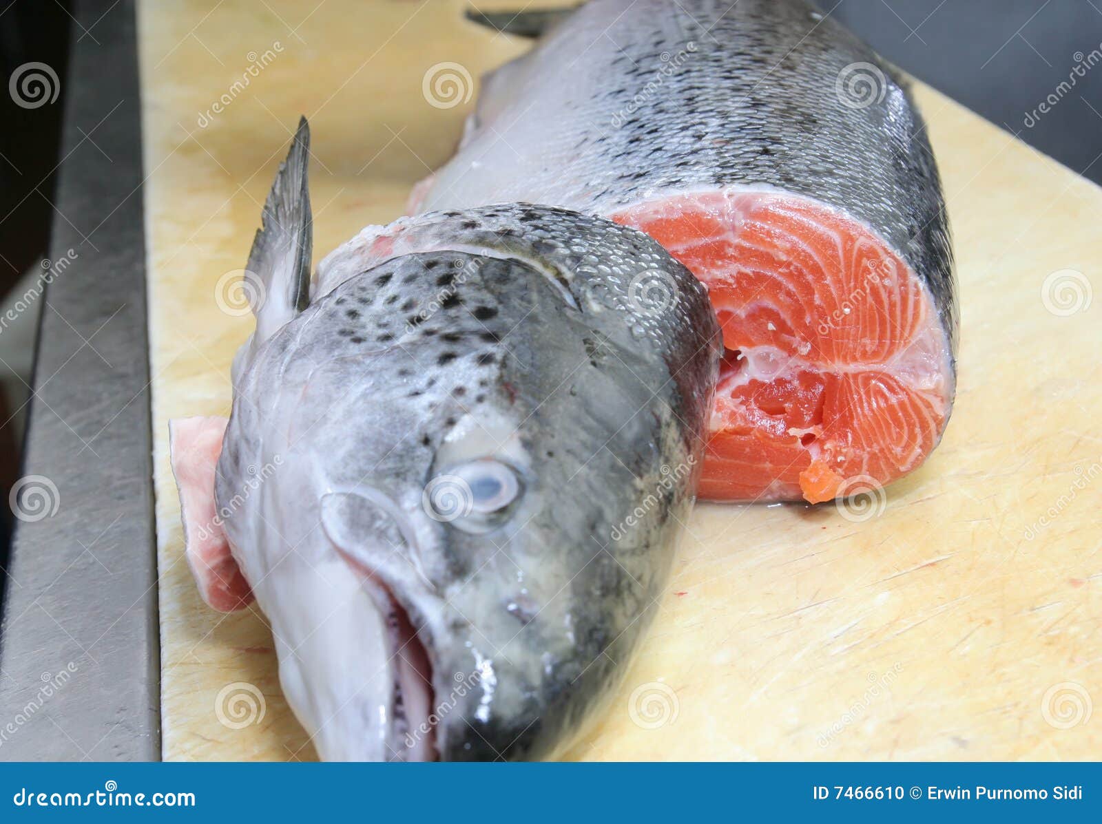 Salmon fish stock photo. Image of meal, cooking, food - 7466610