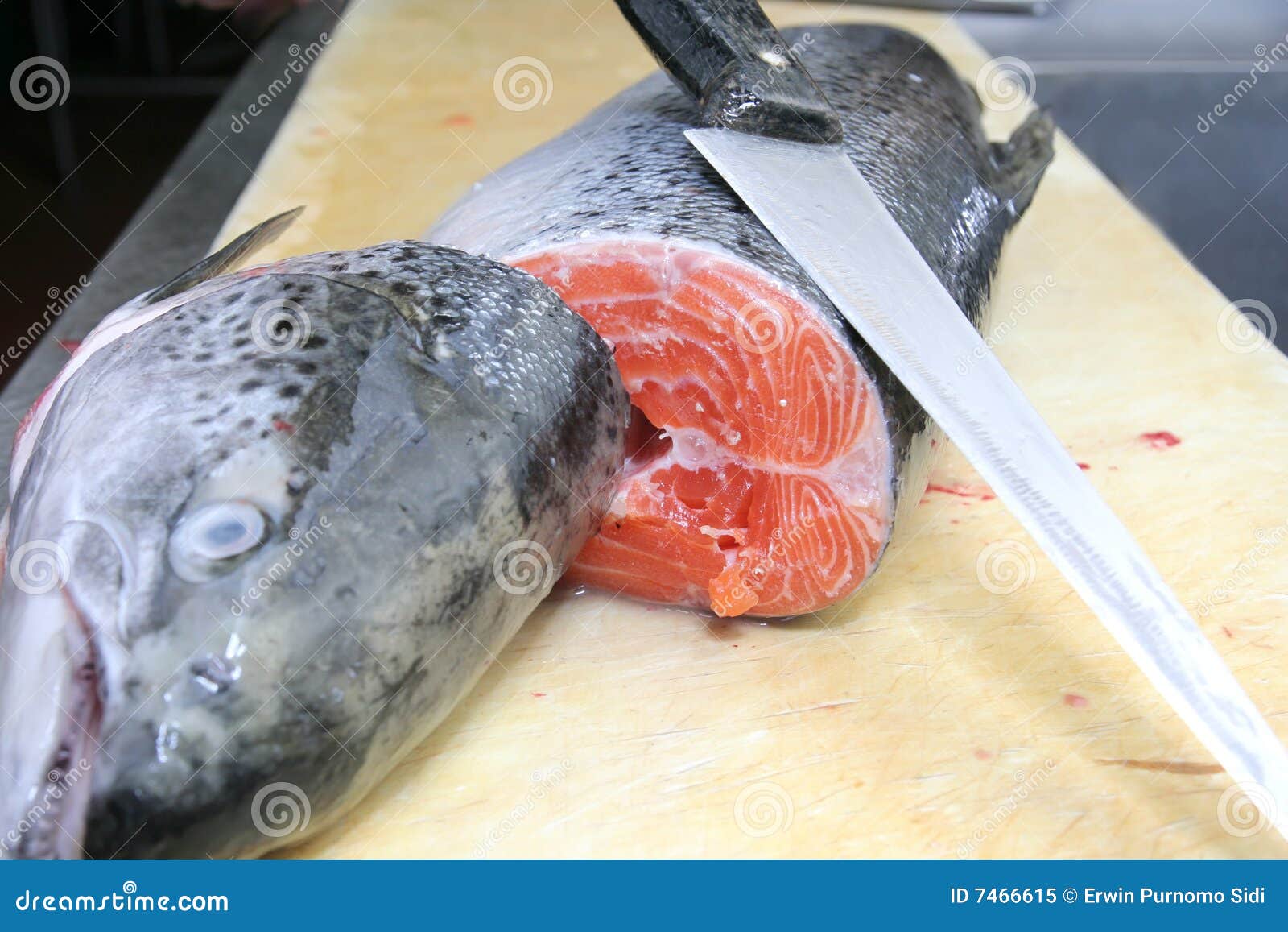Salmon fish stock image. Image of industry, cooking, food - 7466615