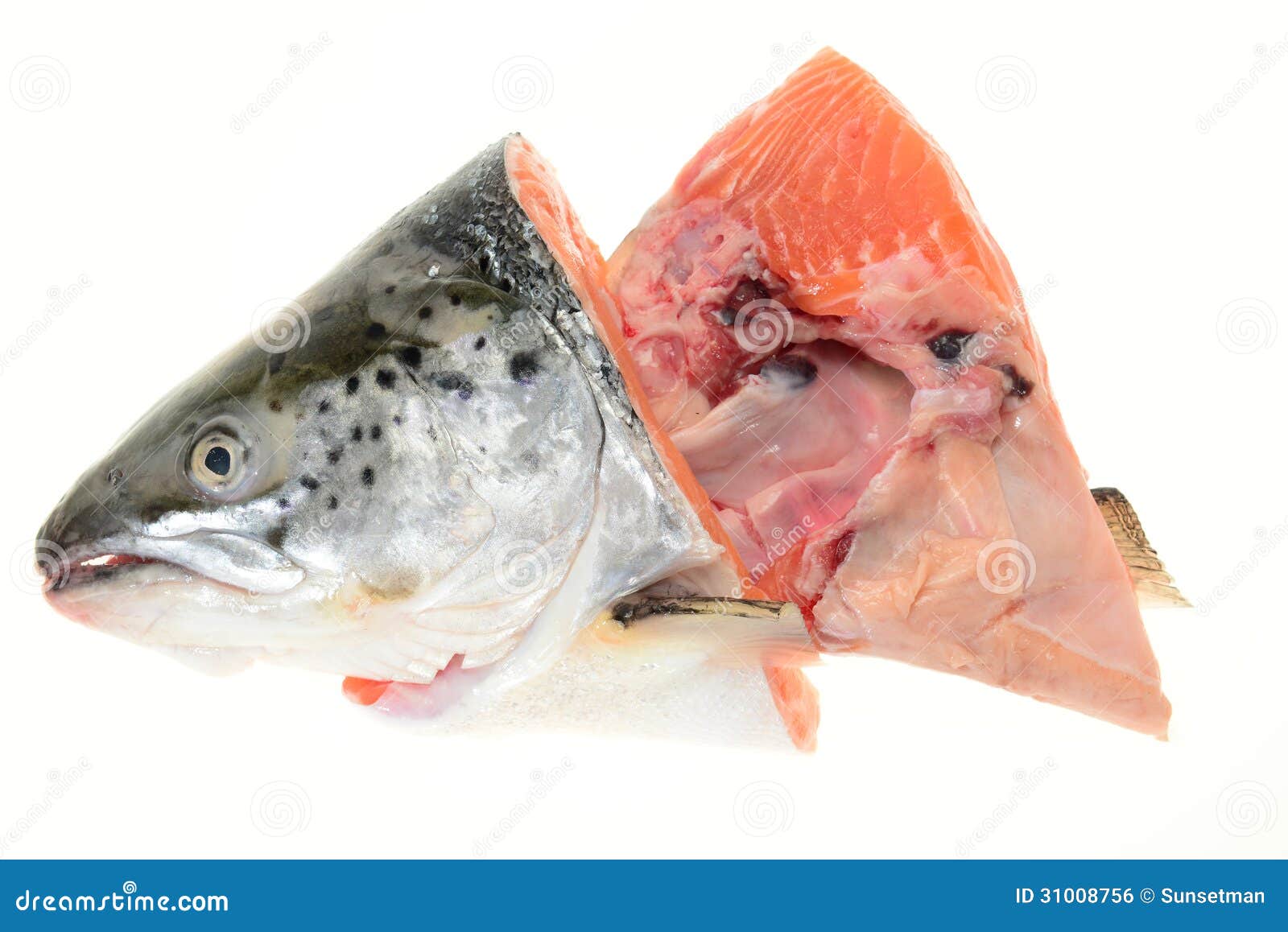 Salmon Fish Head stock photo. Image of slice, ingredient - 31008756