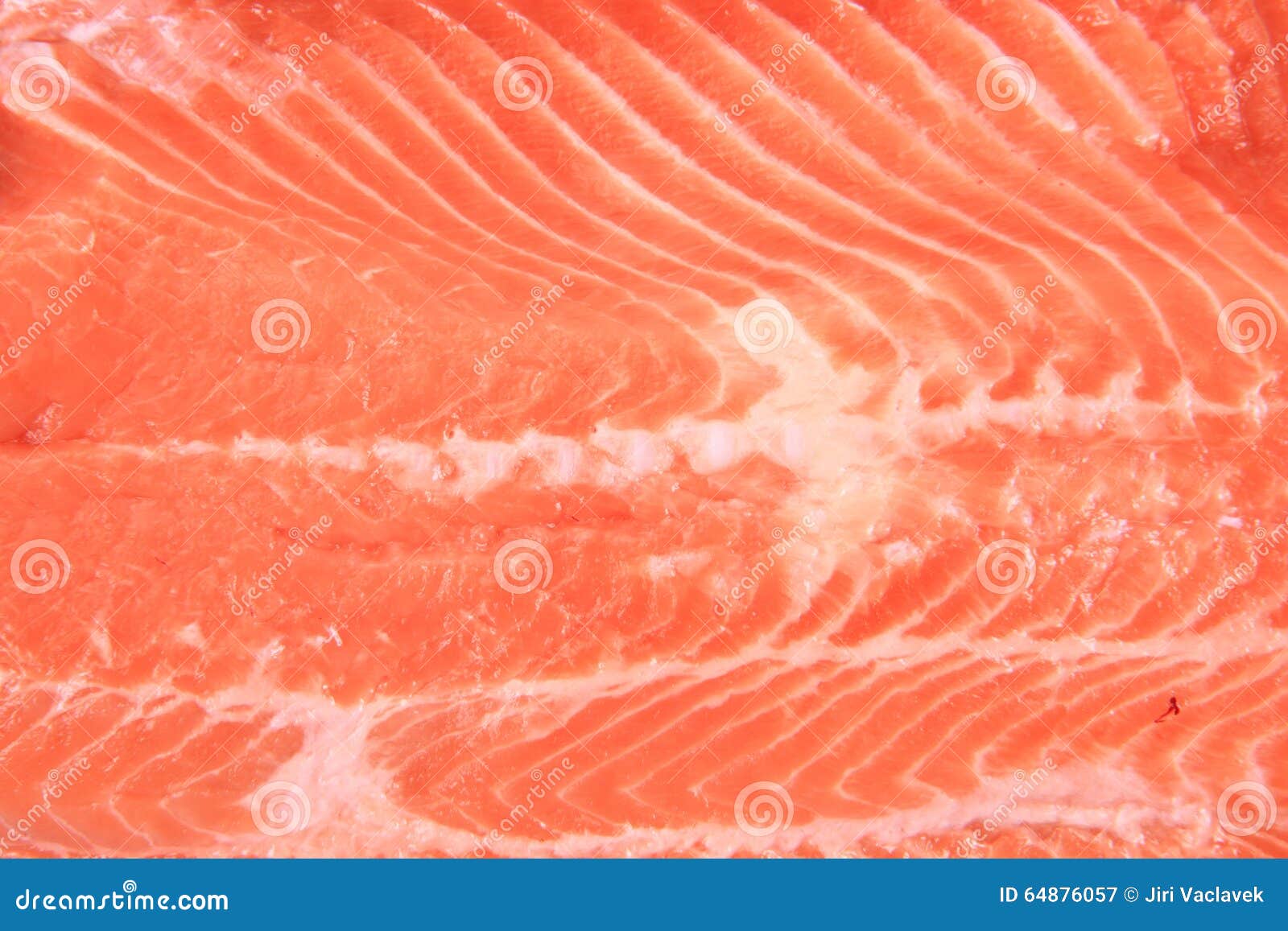 4,475 Salmon Fish Meat Texture Stock Photos - Free & Royalty-Free Stock ...