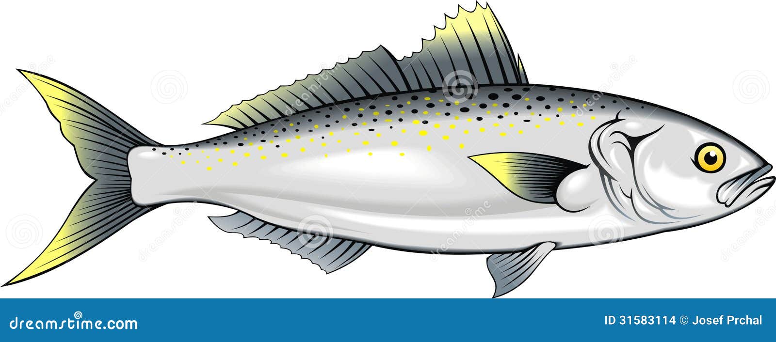 Salmon Fish Growth Set. Grow Up Circle Animation Progression ...