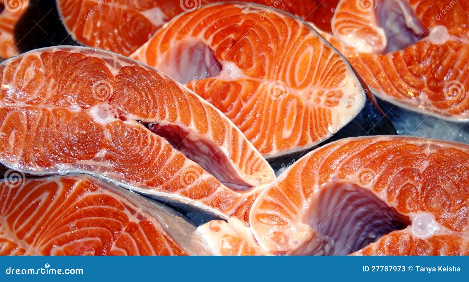 Salmon fish sliced stock image. Image of slice, snack - 27787973