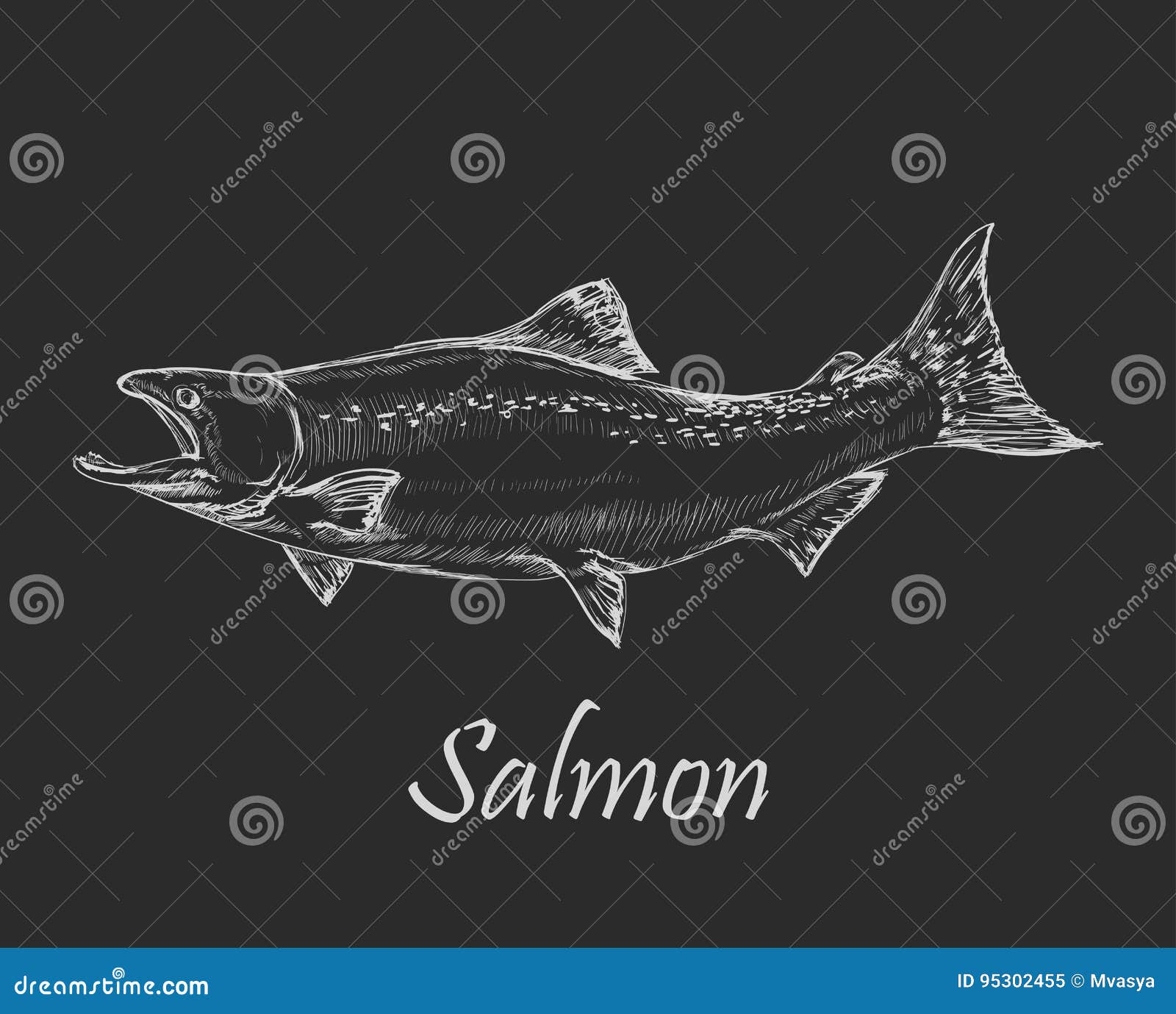 Salmon Fish Hand Drawn Vector Sketch. Illustration Of Seafood. Fillet ...