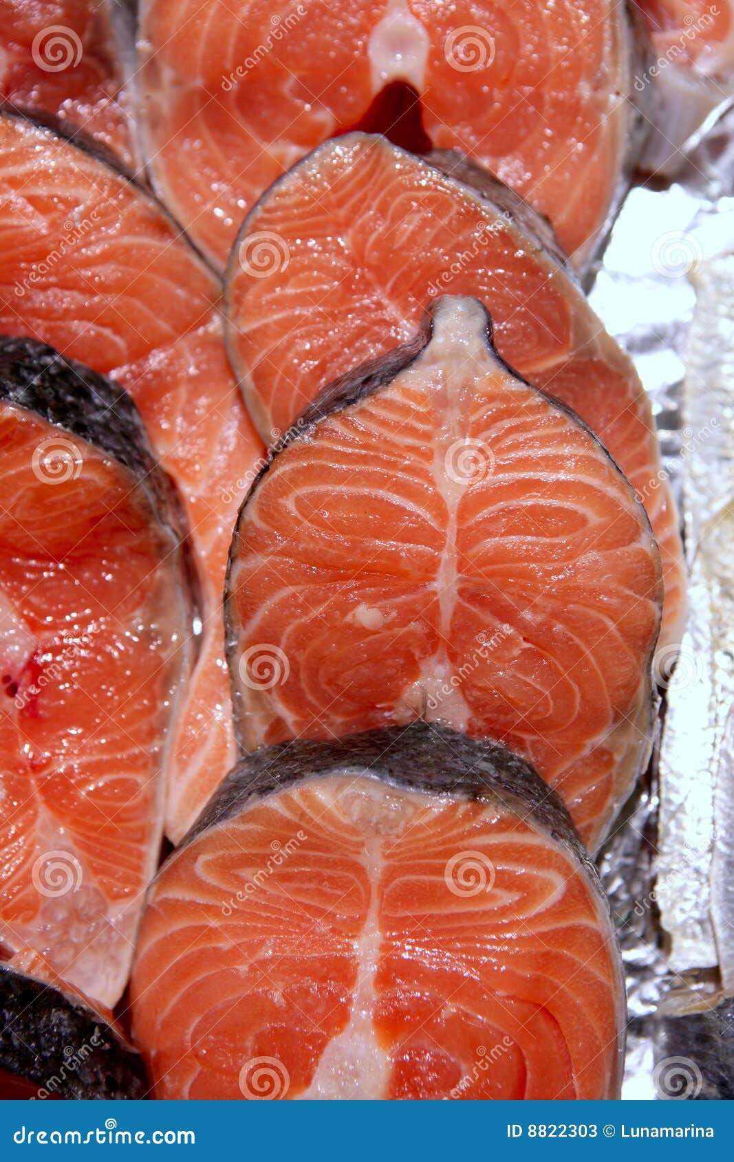 Salmon Fish Vivid Slices in a Row Stock Image - Image of asia ...