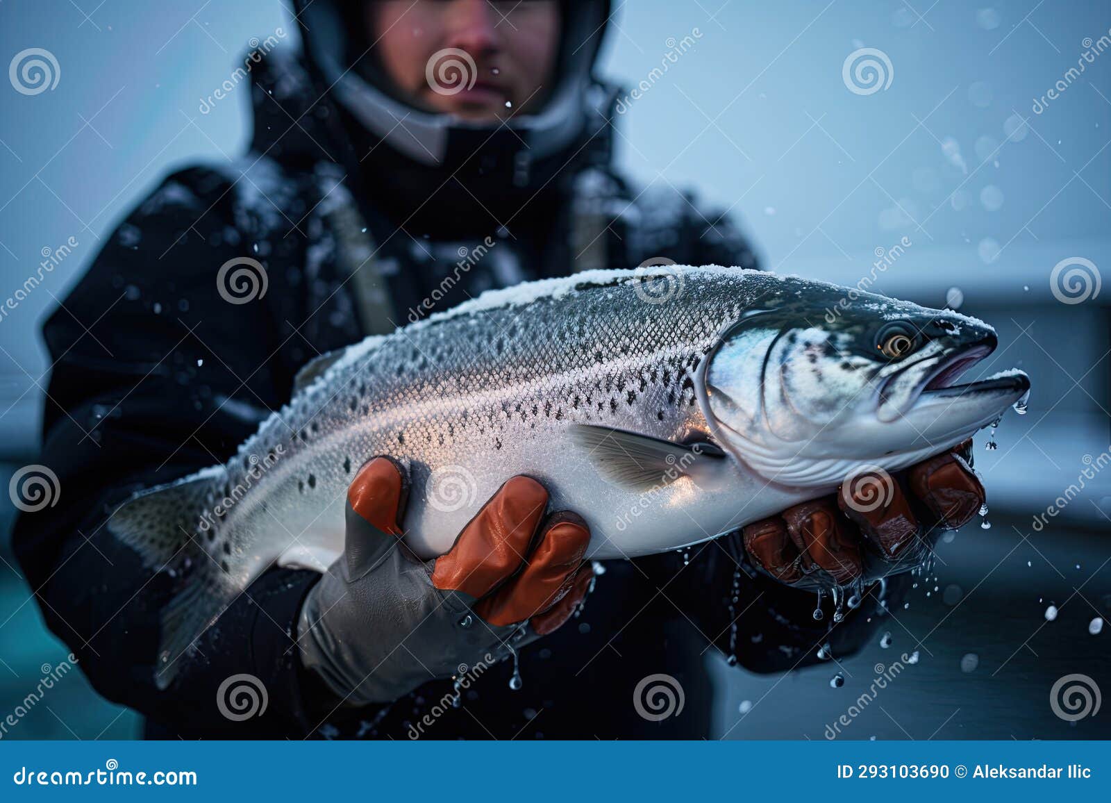 Salmon in Fishermans Hands in Alaskan Wilderness. Generative Ai Stock ...
