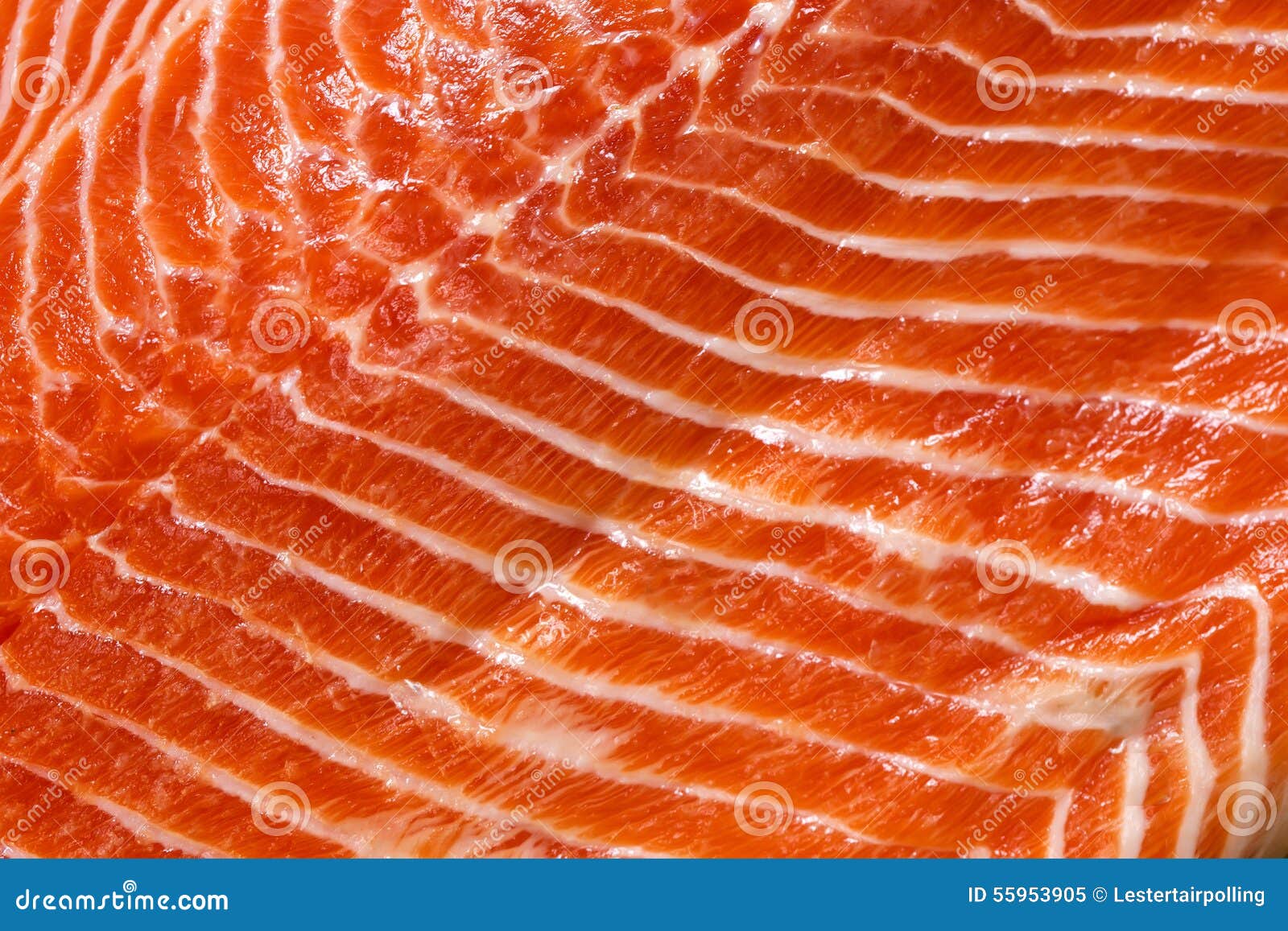 Salmon stock image. Image of meat, front, background - 55953905