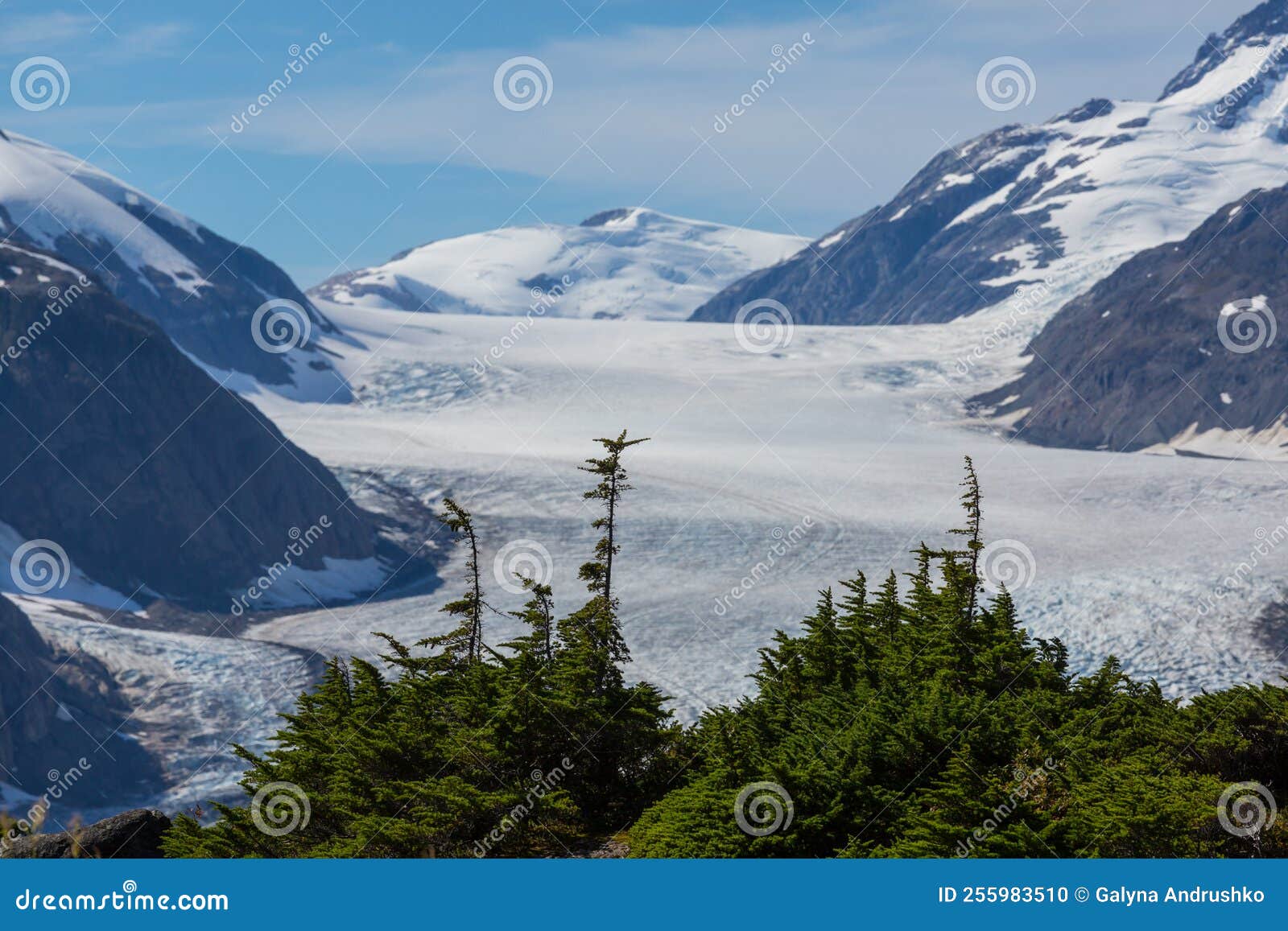 Salmon glacier stock photo. Image of landscape, summer - 255983510