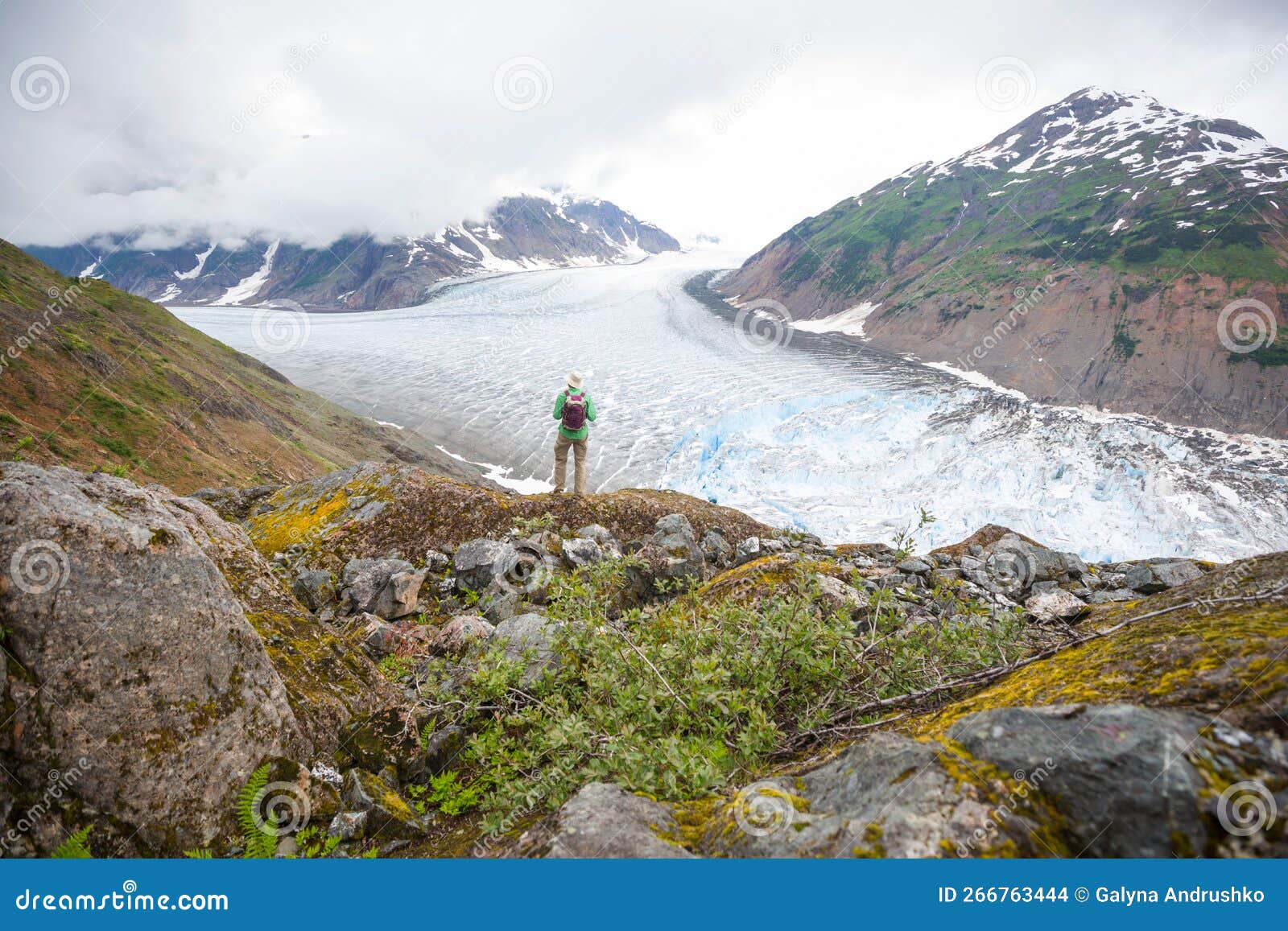 Salmon glacier stock photo. Image of snow, destination - 266763444