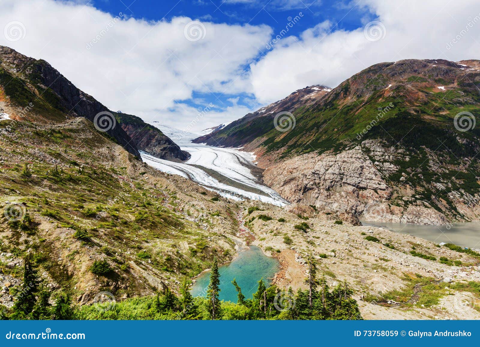 Salmon glacier stock image. Image of desolate, nature - 73758059