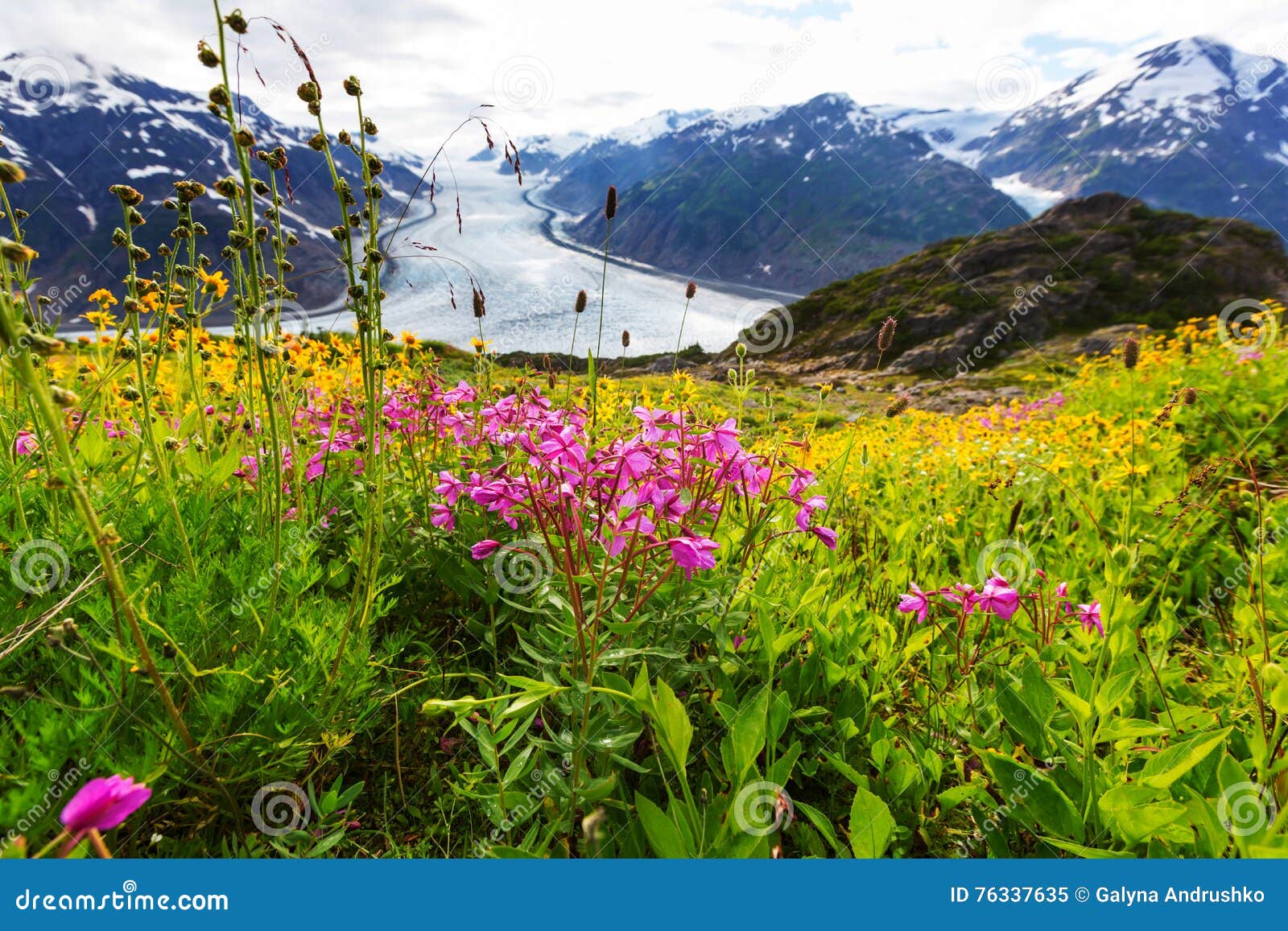 Salmon glacier stock image. Image of geology, stewart - 76337635