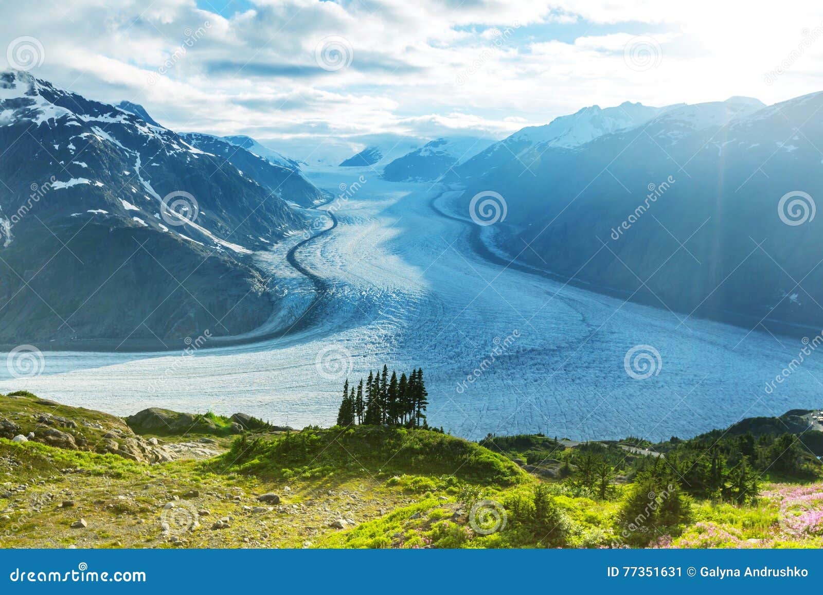 Salmon glacier stock image. Image of mountain, british - 77351631