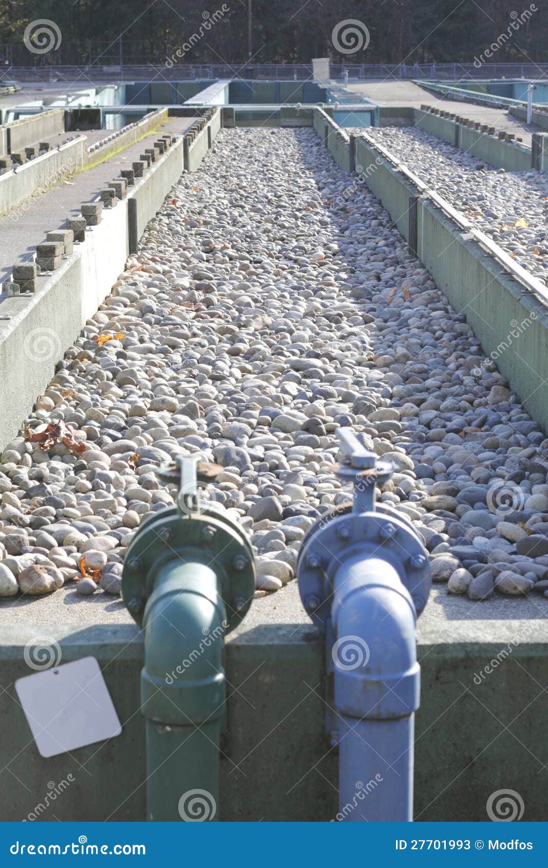 Salmon Hatchery Holding Tank Stock Image - Image of industry, hatchery ...