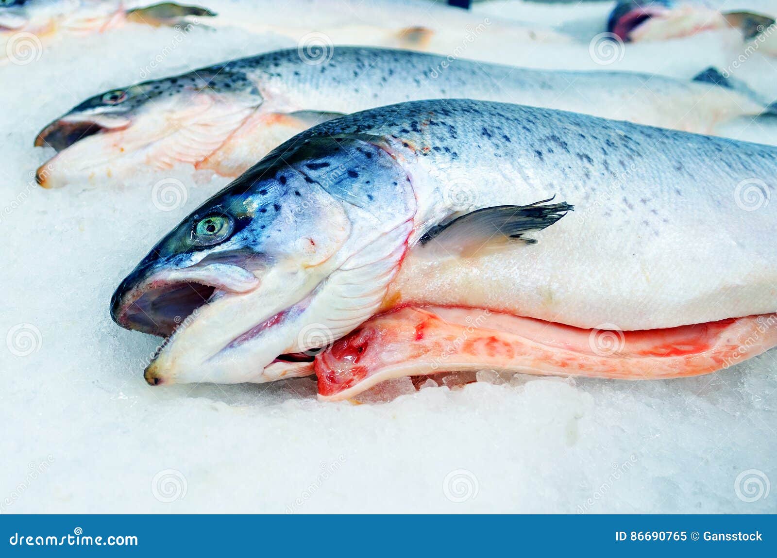 Salmon Head on Ice stock image. Image of redfish, product - 86690765