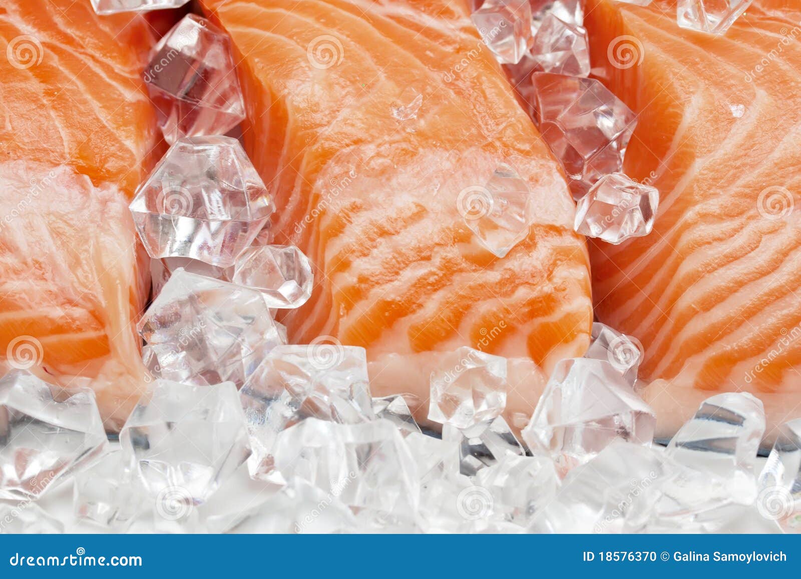 Salmon on ice stock photo. Image of dinner, fish, dining - 18576370