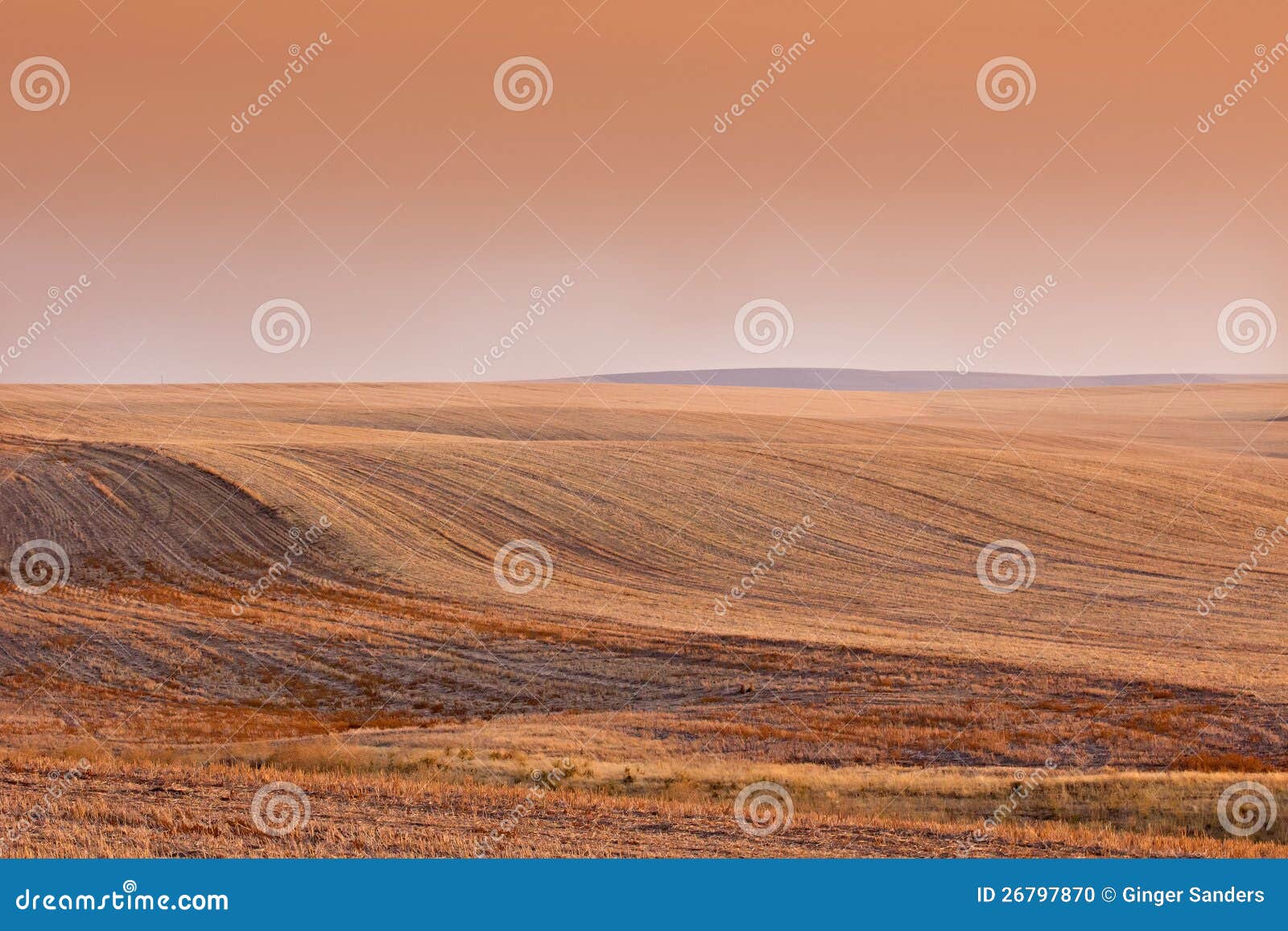 Salmon Orange Sunset on Empty Fields Stock Photo - Image of gold ...