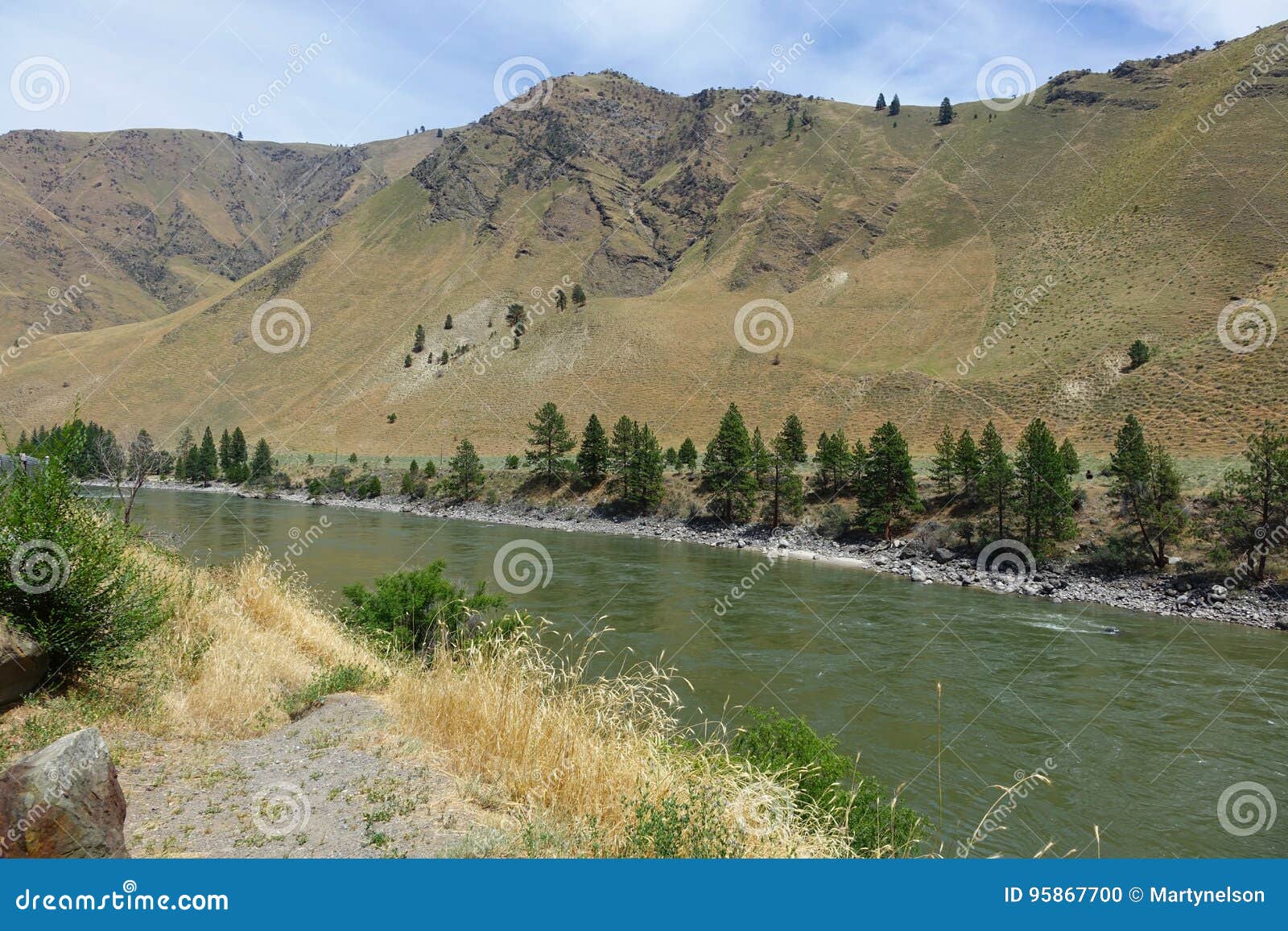 Salmon River in Riggins, Idaho Stock Foto - Image of bomen ...