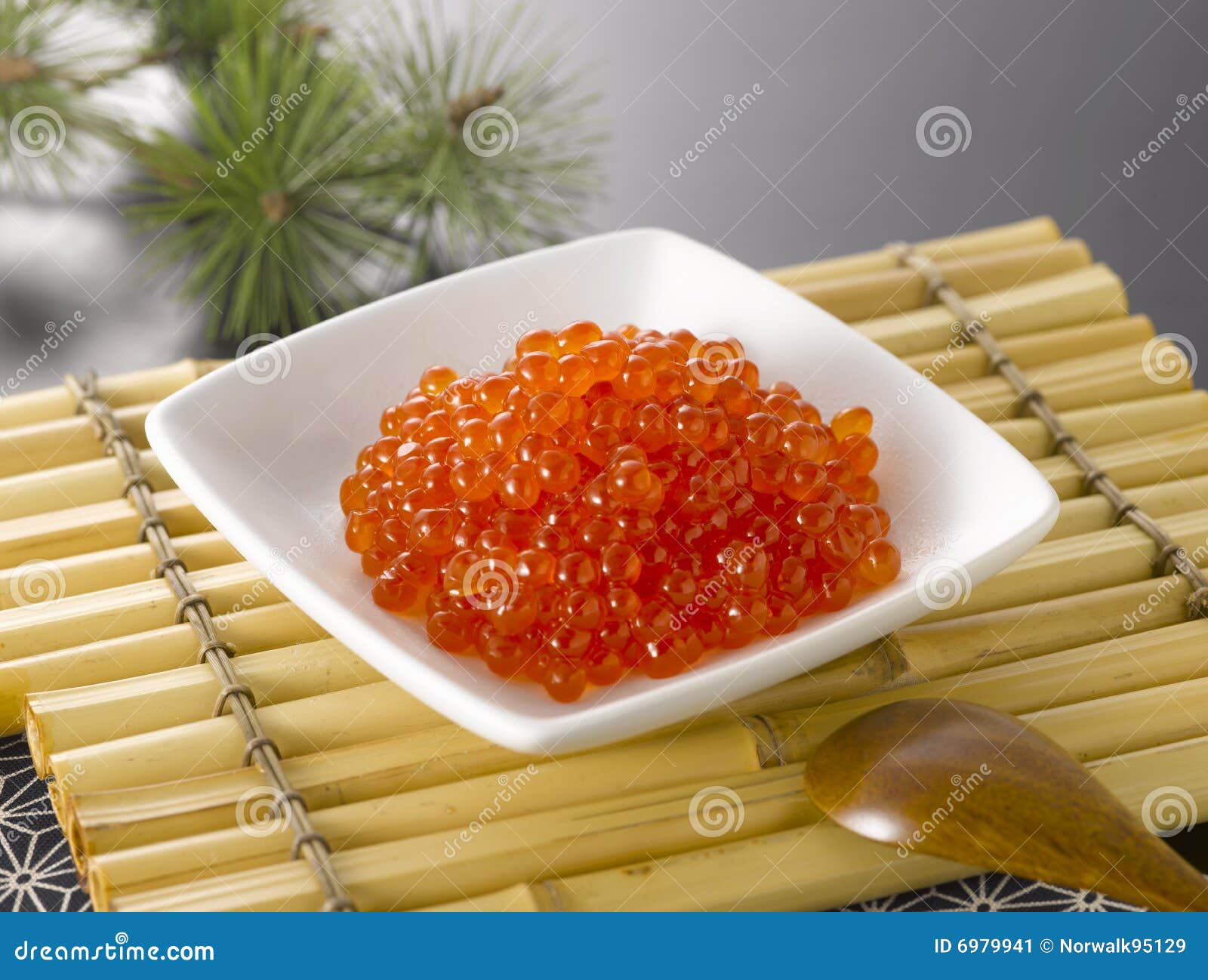 Salmon Roe Stock Image - Image: 6979941