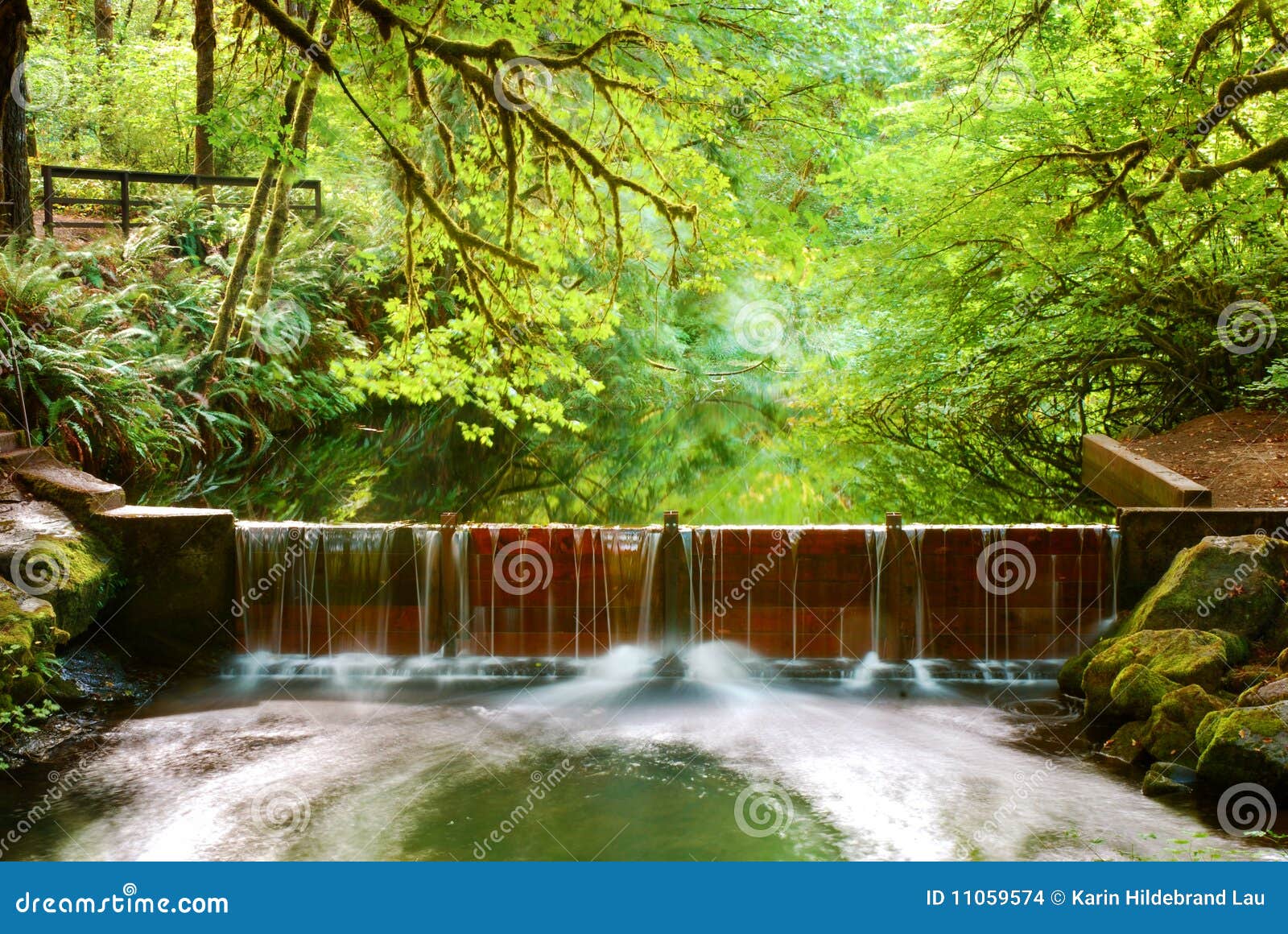 Salmon Run Dam stock photo. Image of creek, temp, flow - 11059574