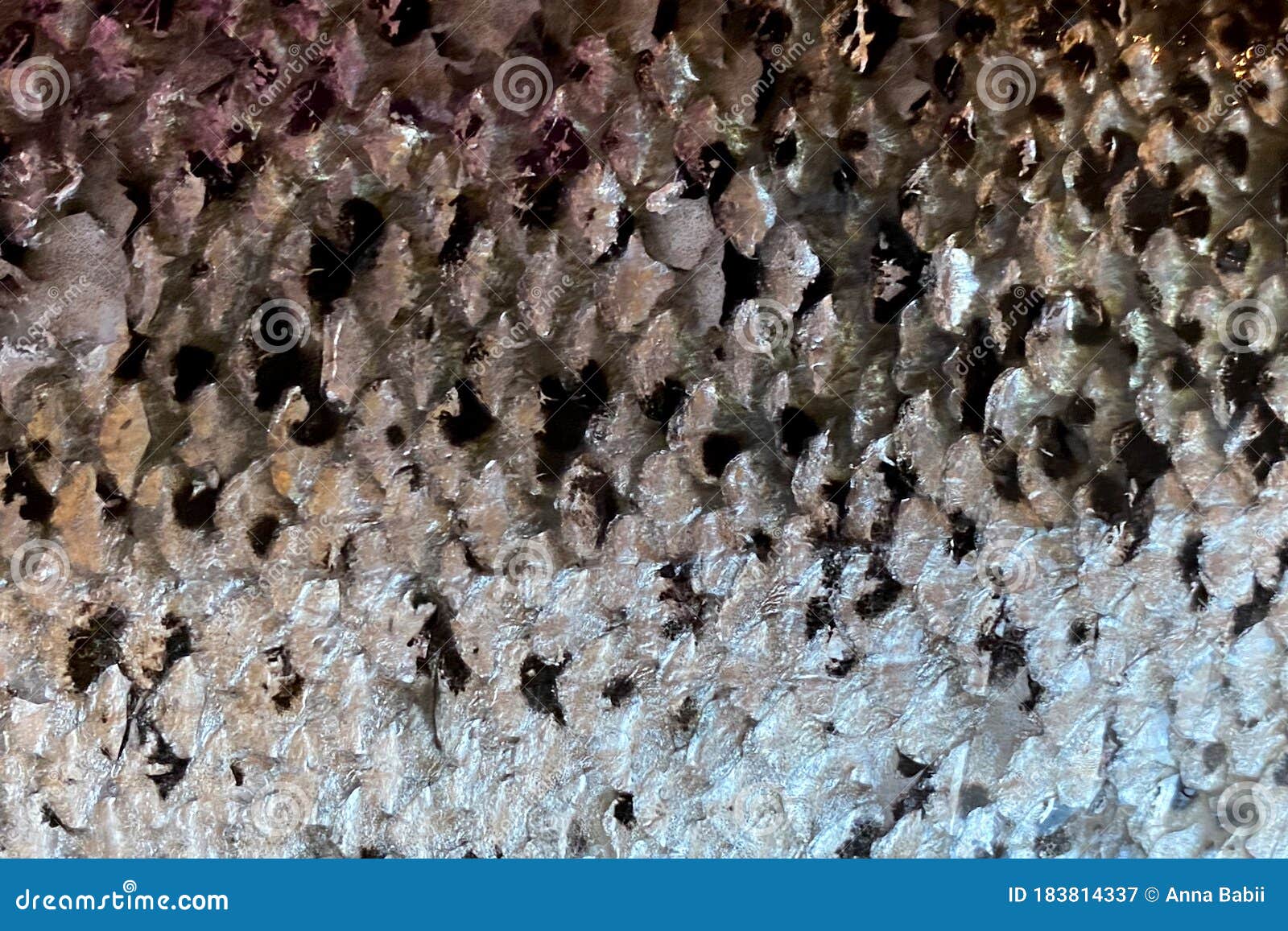 Salmon Scales. Close Up Fish Skin Texture. Stock Image - Image of ...
