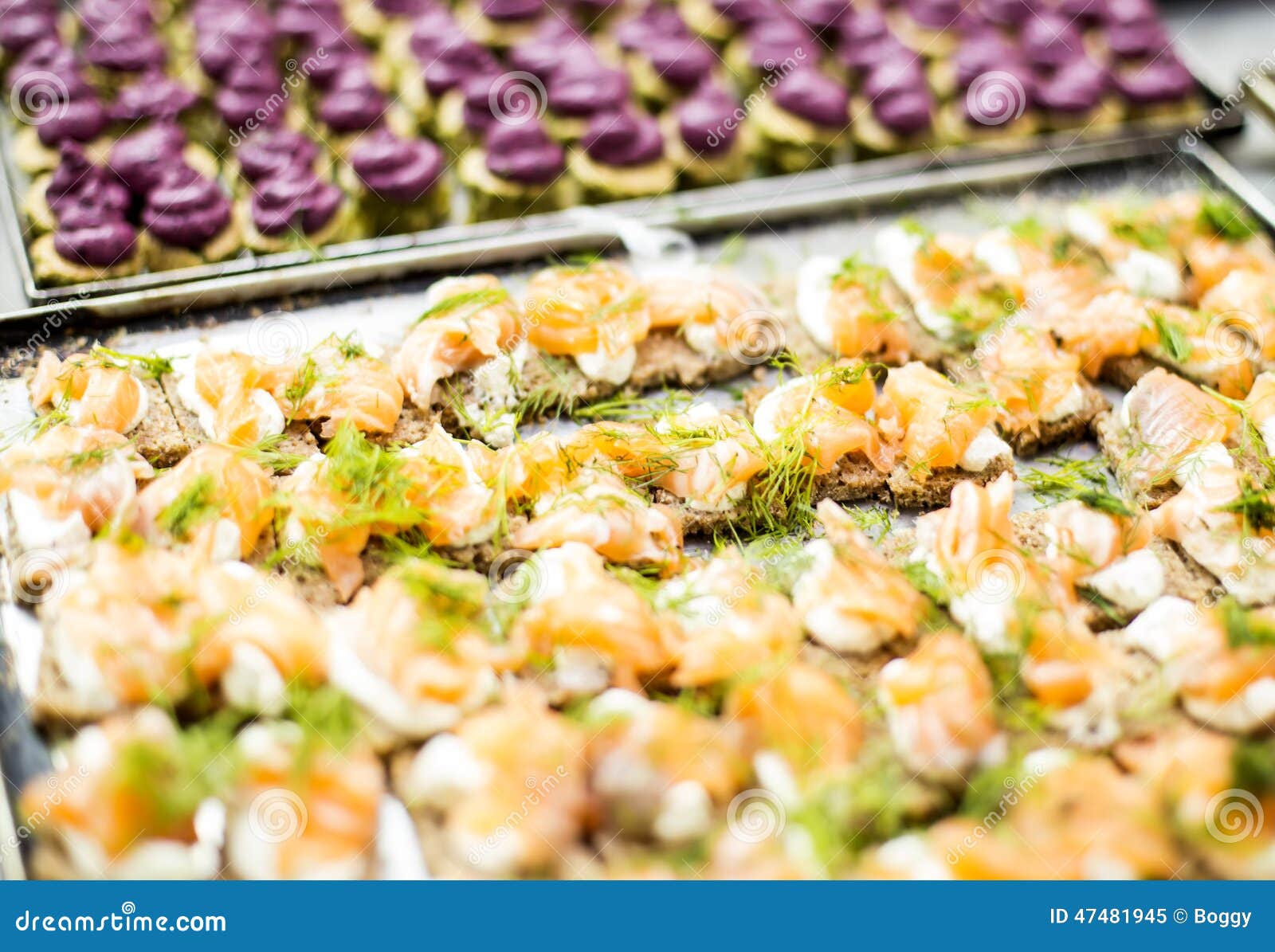 Salmon snacks stock image. Image of restaurant, delicious - 47481945