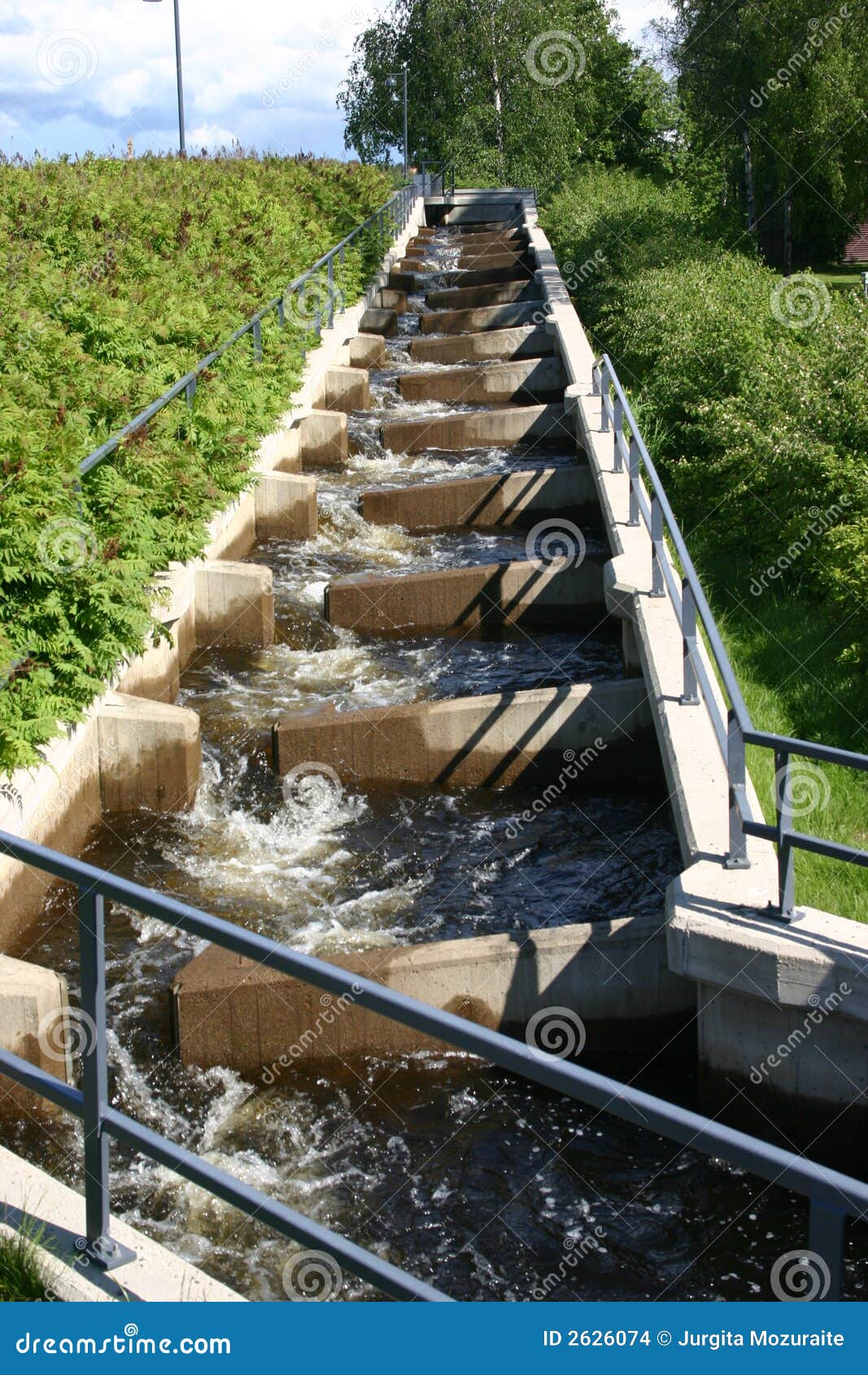 Salmon stairs stock photo. Image of salmon, water, hydroelectric - 2626074