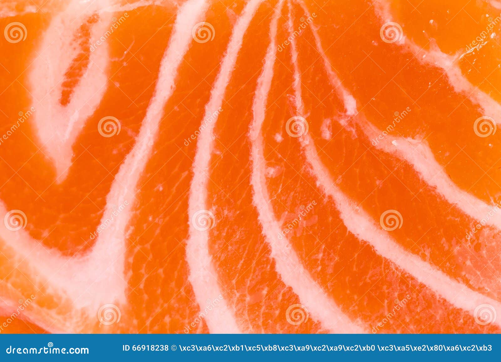 Salmon texture stock photo. Image of closeup, fish, sushi - 66918238