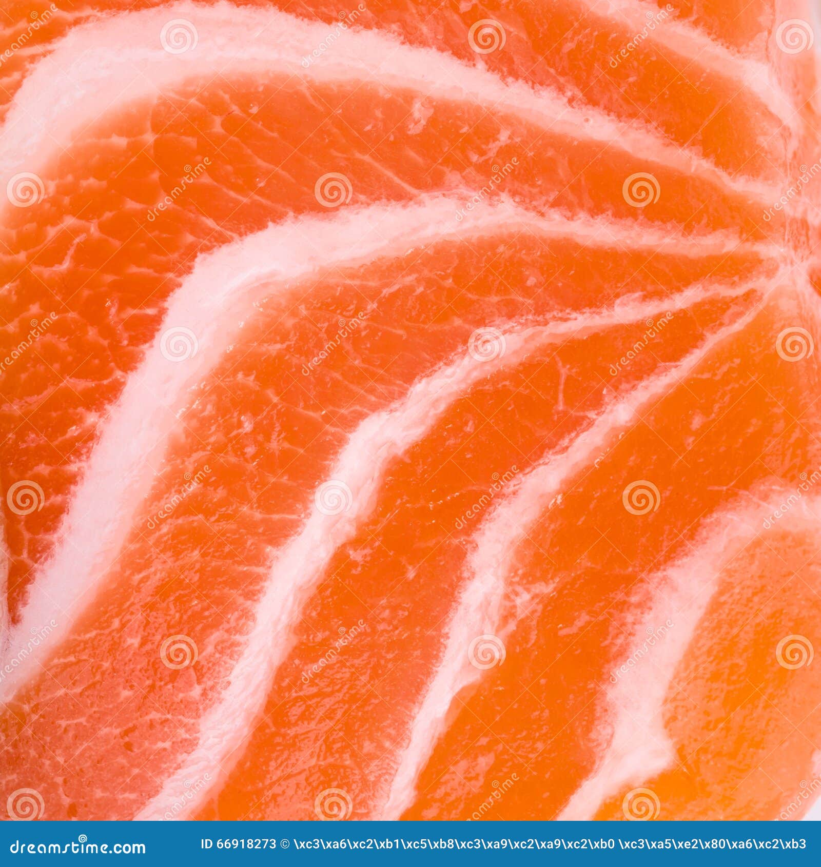 Salmon texture stock image. Image of fresh, dinner, fish - 66918273