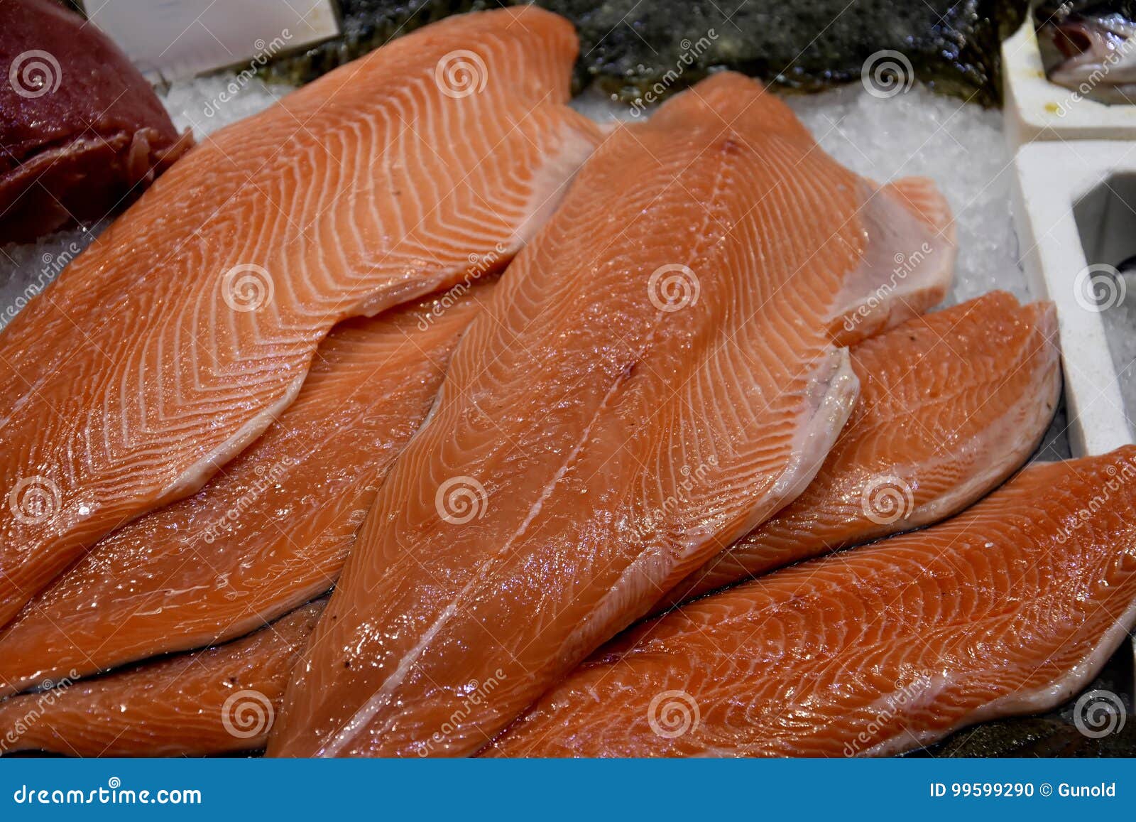Salmon stock photo. Image of background, nature, fresh - 99599290