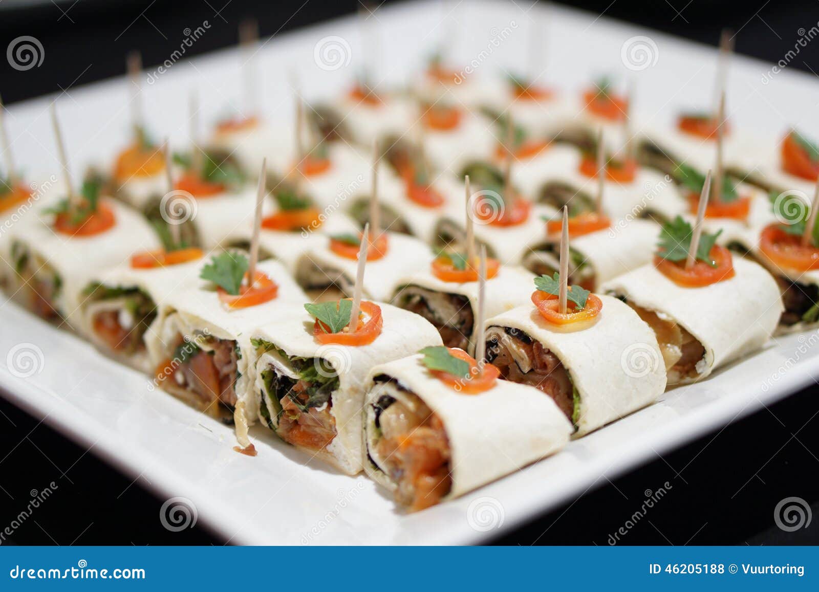 Salmon wraps stock photo. Image of meat, roll, norwegian - 46205188