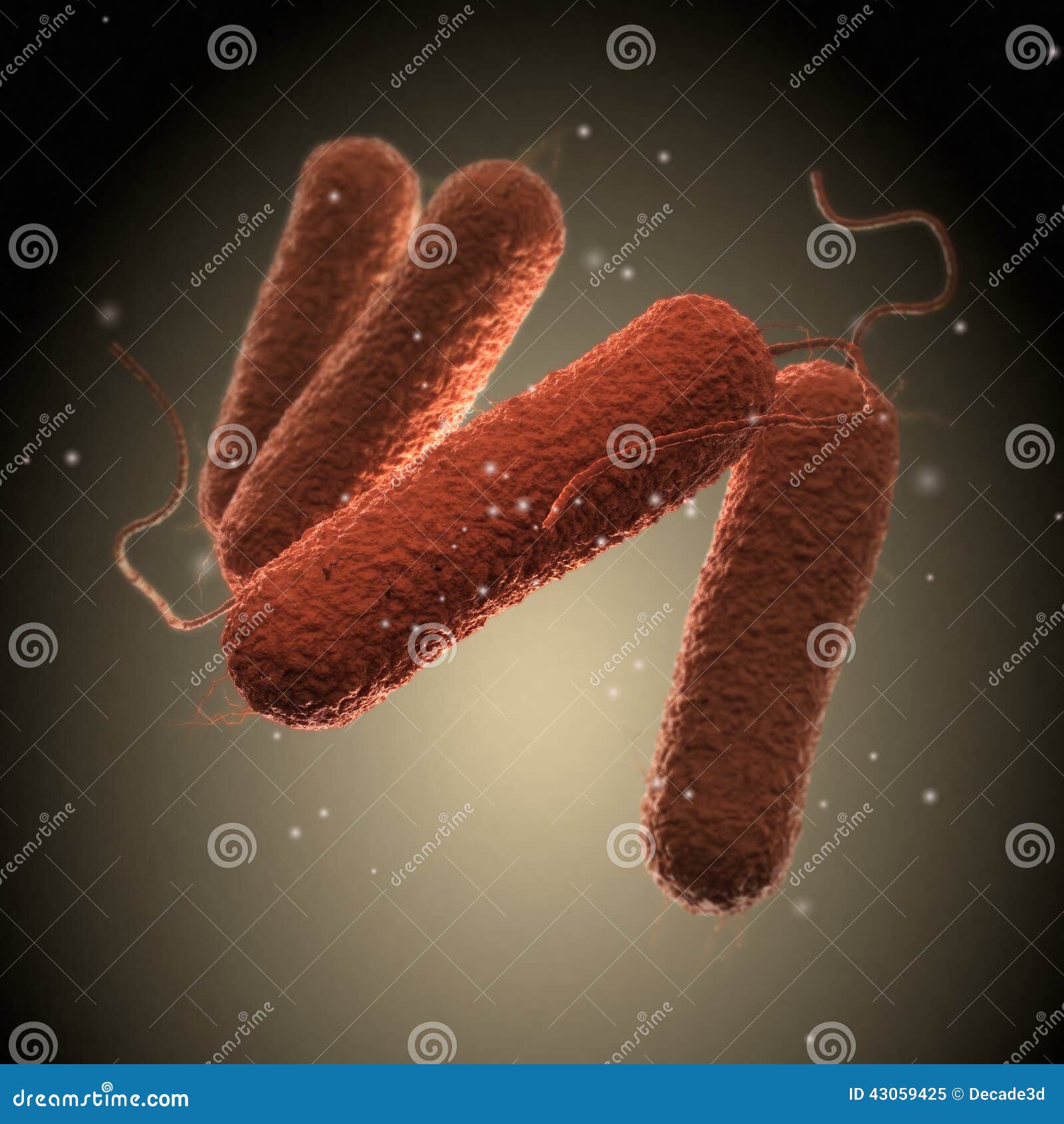 Salmonella Bacteria - on Background Stock Illustration - Illustration ...