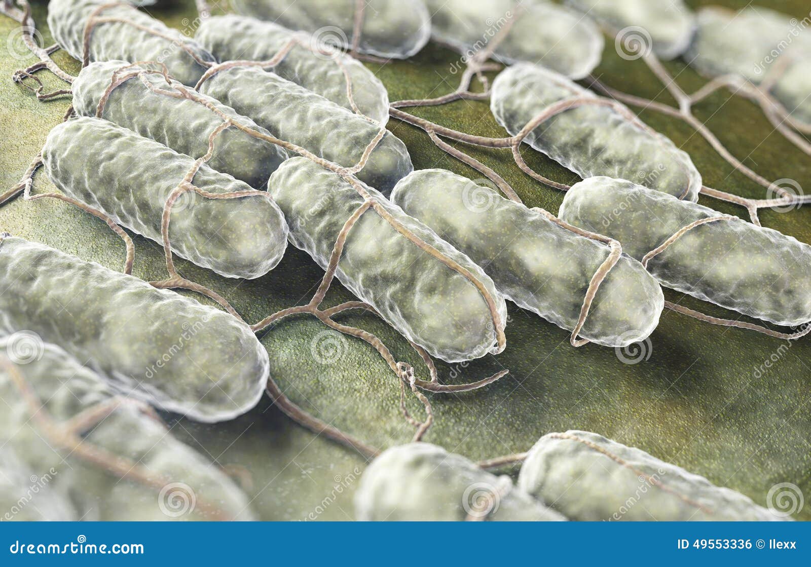 Salmonella bacteria stock illustration. Illustration of poisoning ...