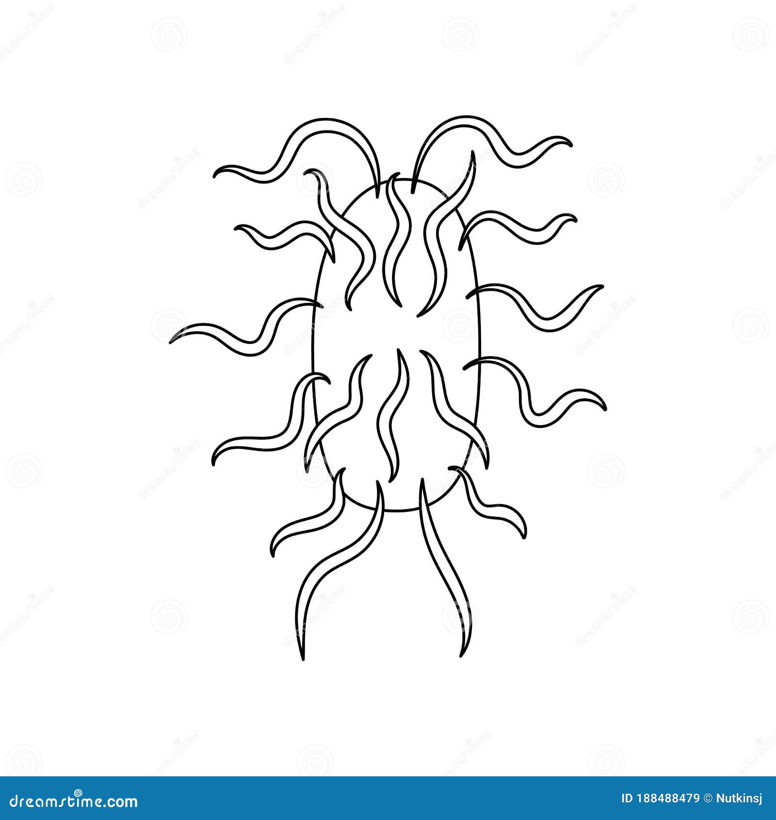 Salmonella Bacteria Disease Microorganisms Vector Colorless Stock Vector Illustration Of
