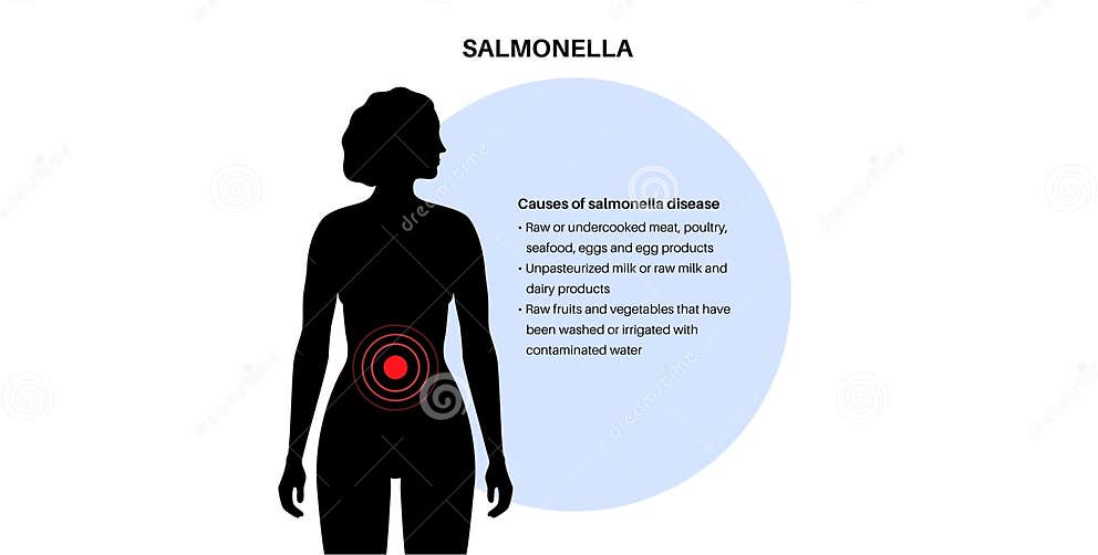Salmonella Typhimurium Cells Stock Vector Illustration Of Stomach Intestine 323470520