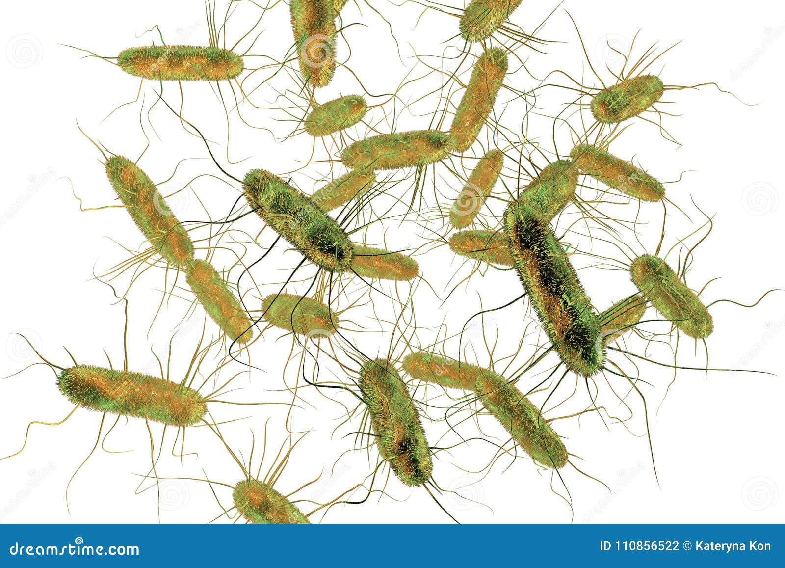 Salmonella Bacteria. S. Typhi, S Stock Illustration - Illustration of ... Salmonella Bacteria. S. Typhi, S Stock Illustration - Illustration of ...