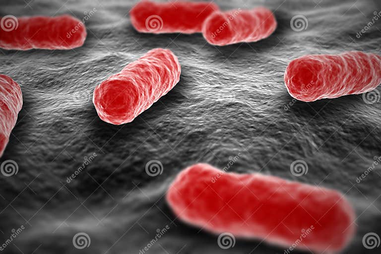 Salmonella Bacterium Microscopic View on Surface Stock Illustration ...