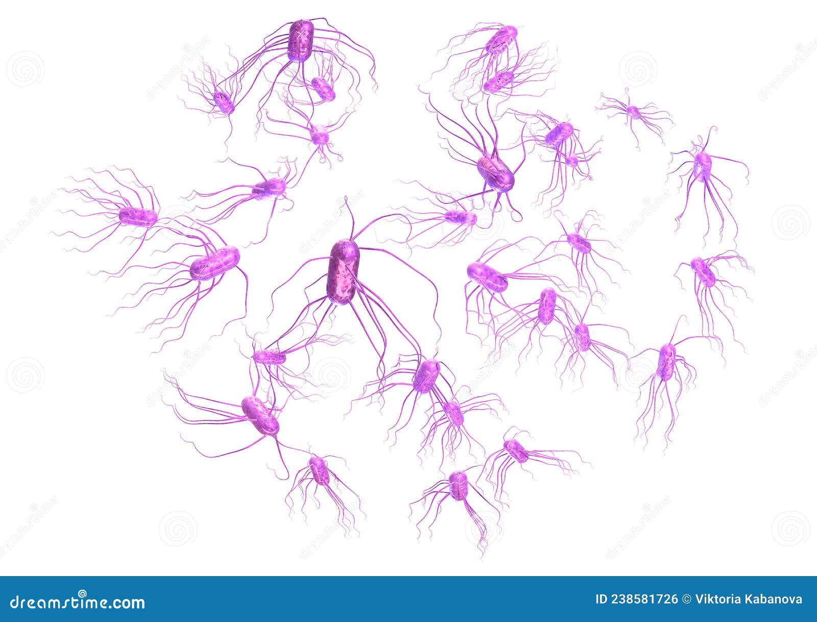 Salmonella, the Causative Agent of Salmonellosis. Stock Illustration ...