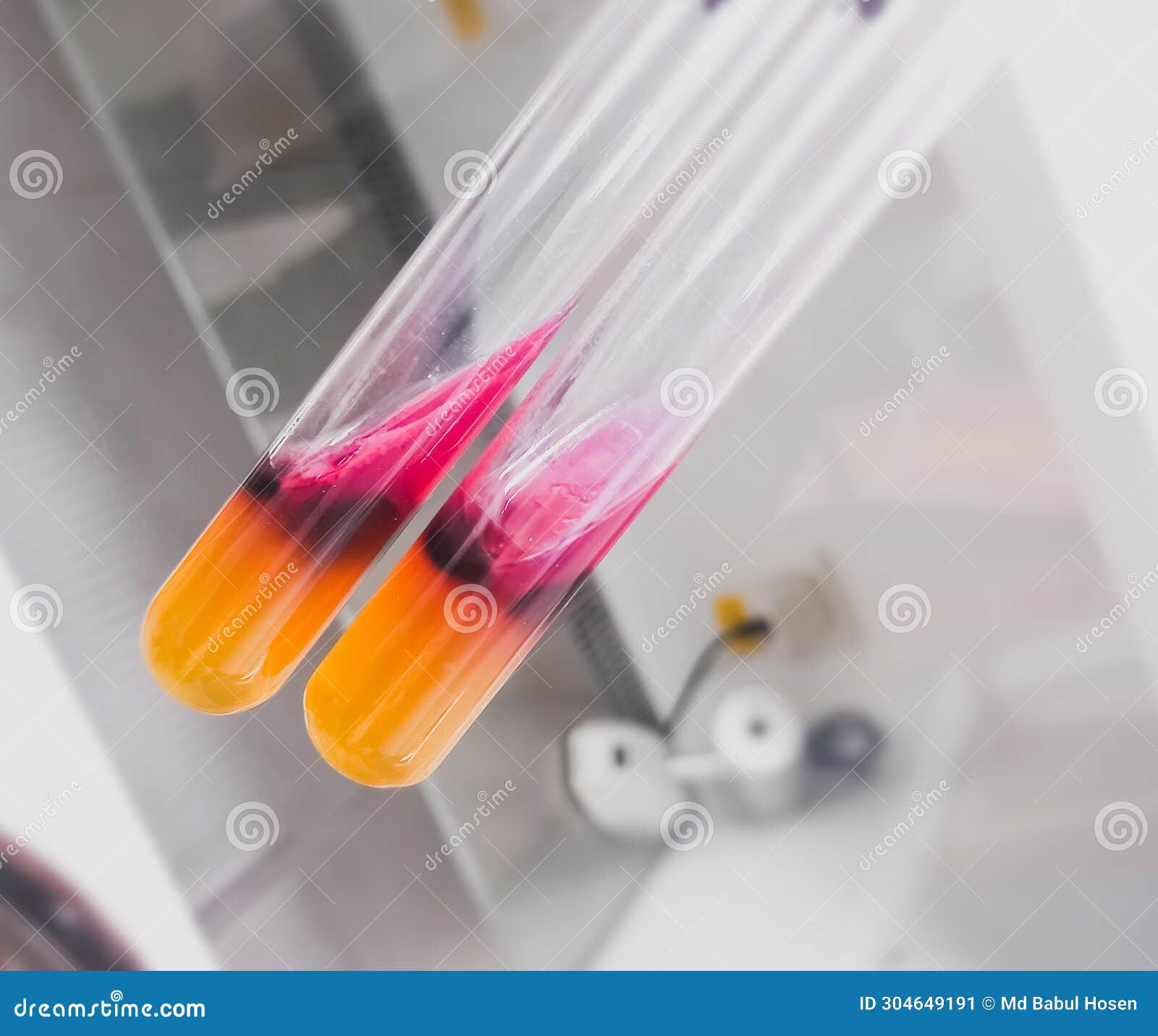 Salmonella Detection Method by Using Triple Sugar Iron (TSI) Agar in ...