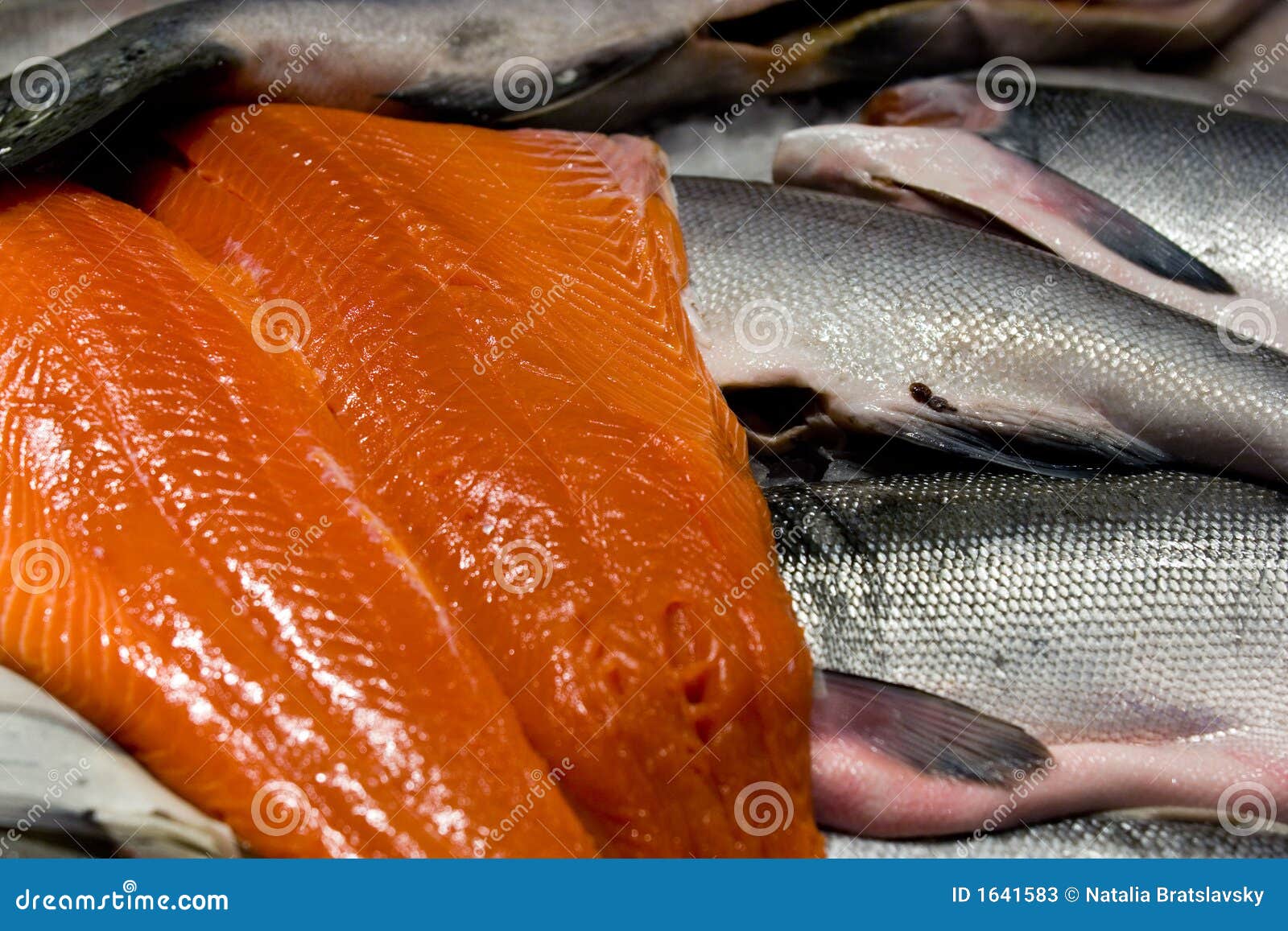 Salmones de rey imagen de archivo. Imagen de mercado, dieta - 1641583