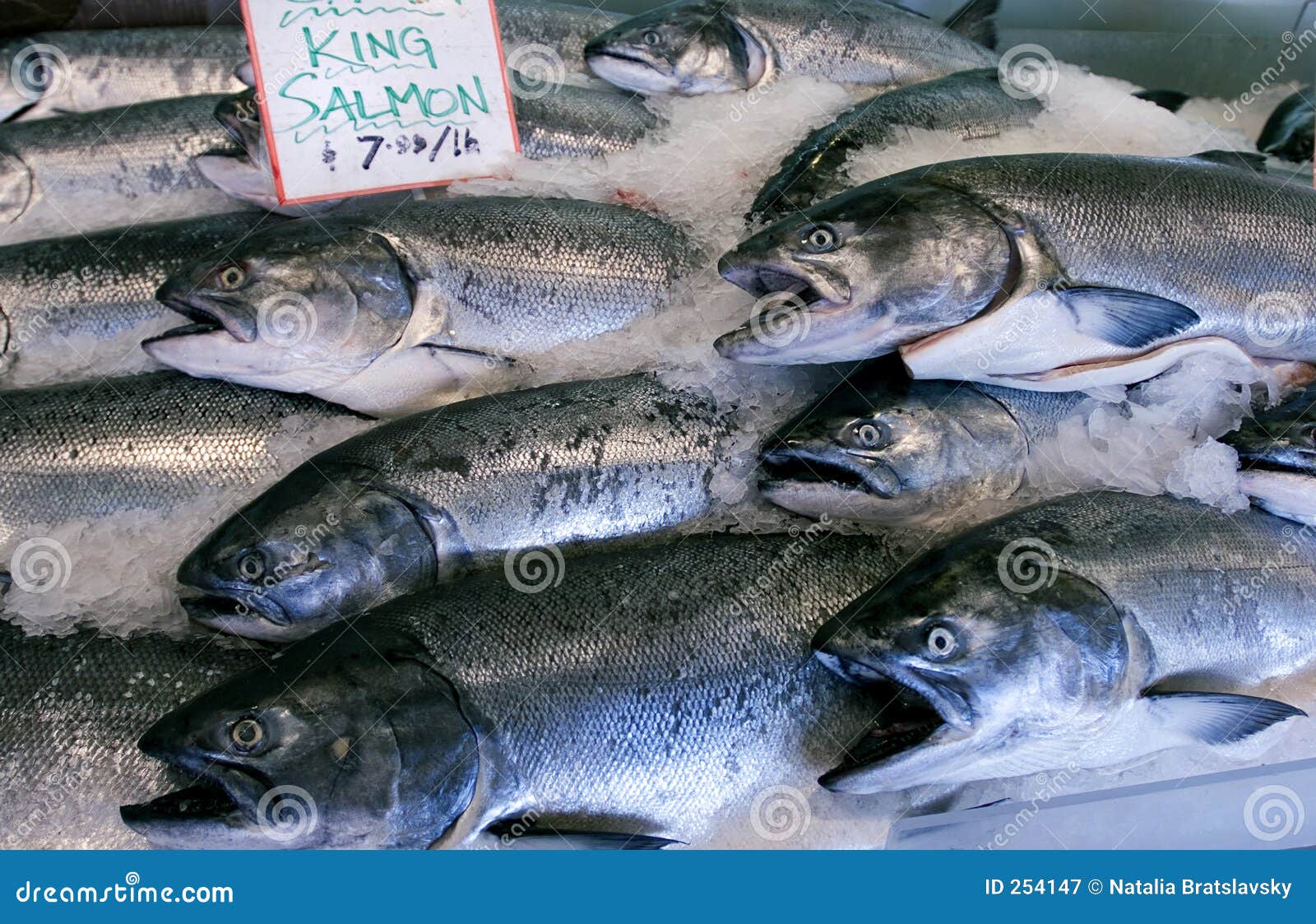 Salmones de rey imagen de archivo. Imagen de congelado - 254147