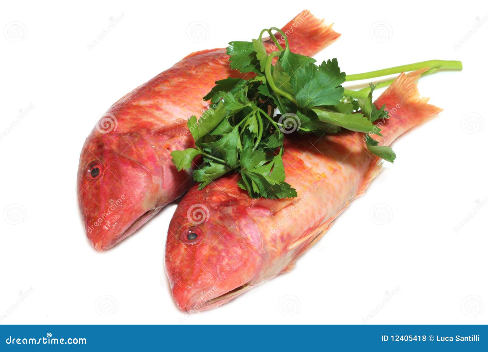 Salmonete foto de archivo. Imagen de dieta, alimento - 12405418