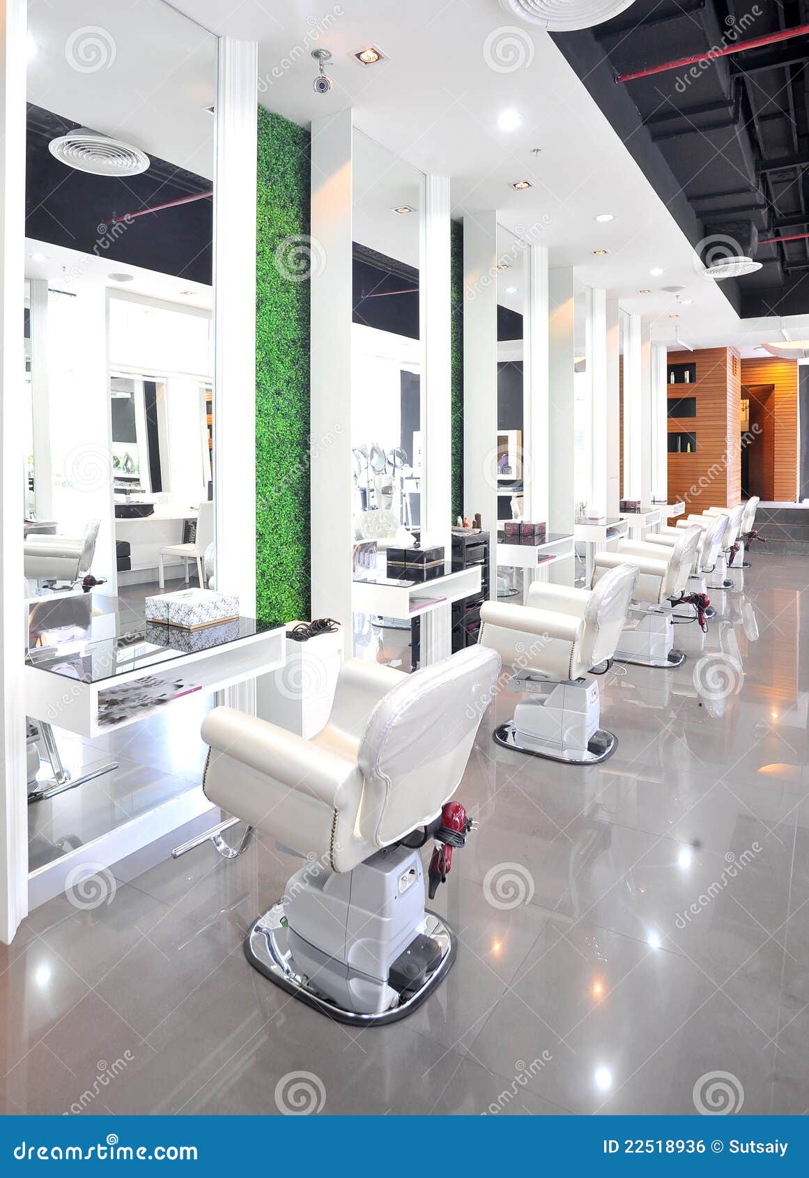 Salone Di Bellezza Di Lusso Fotografia Stock - Immagine di estetiche ...