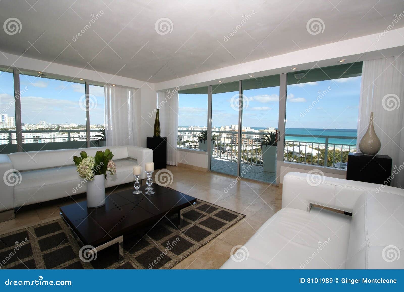 Salone di lusso immagine stock. Immagine di fiori, acqua - 8101989