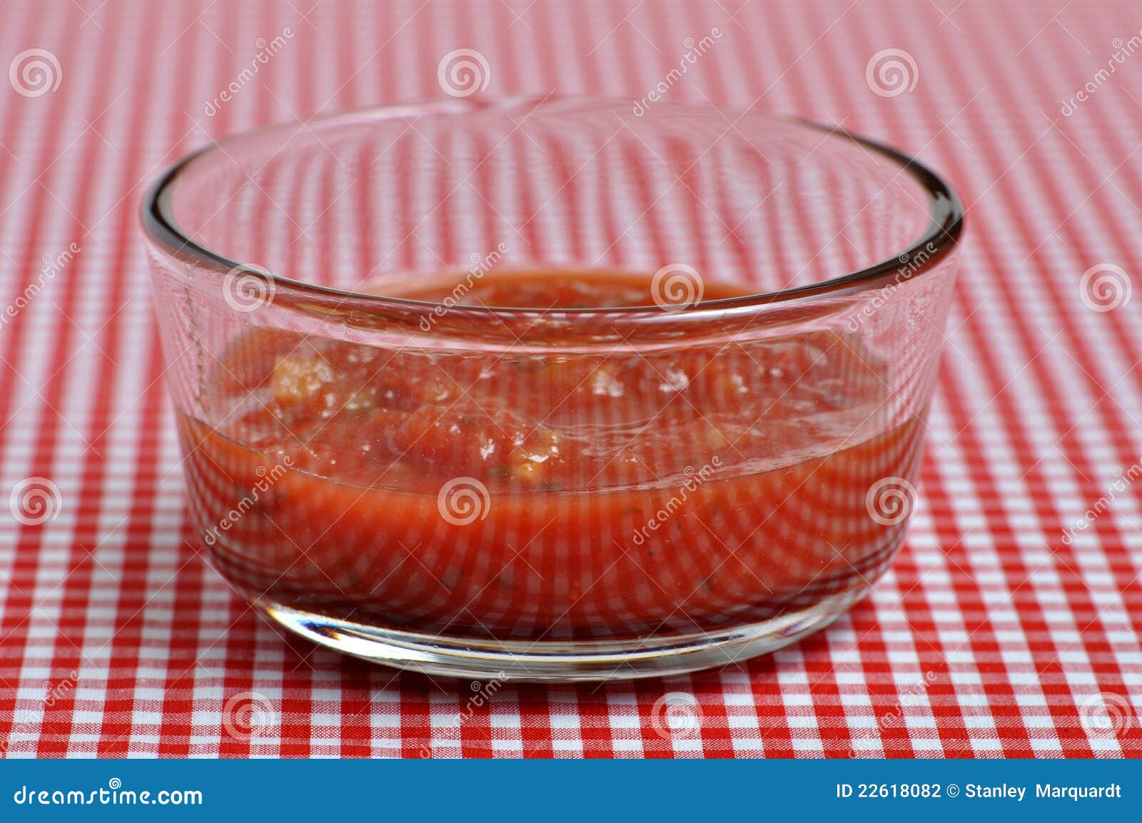 Salsa stock photo. Image of spicy, healthy, salsa, tasty - 22618082