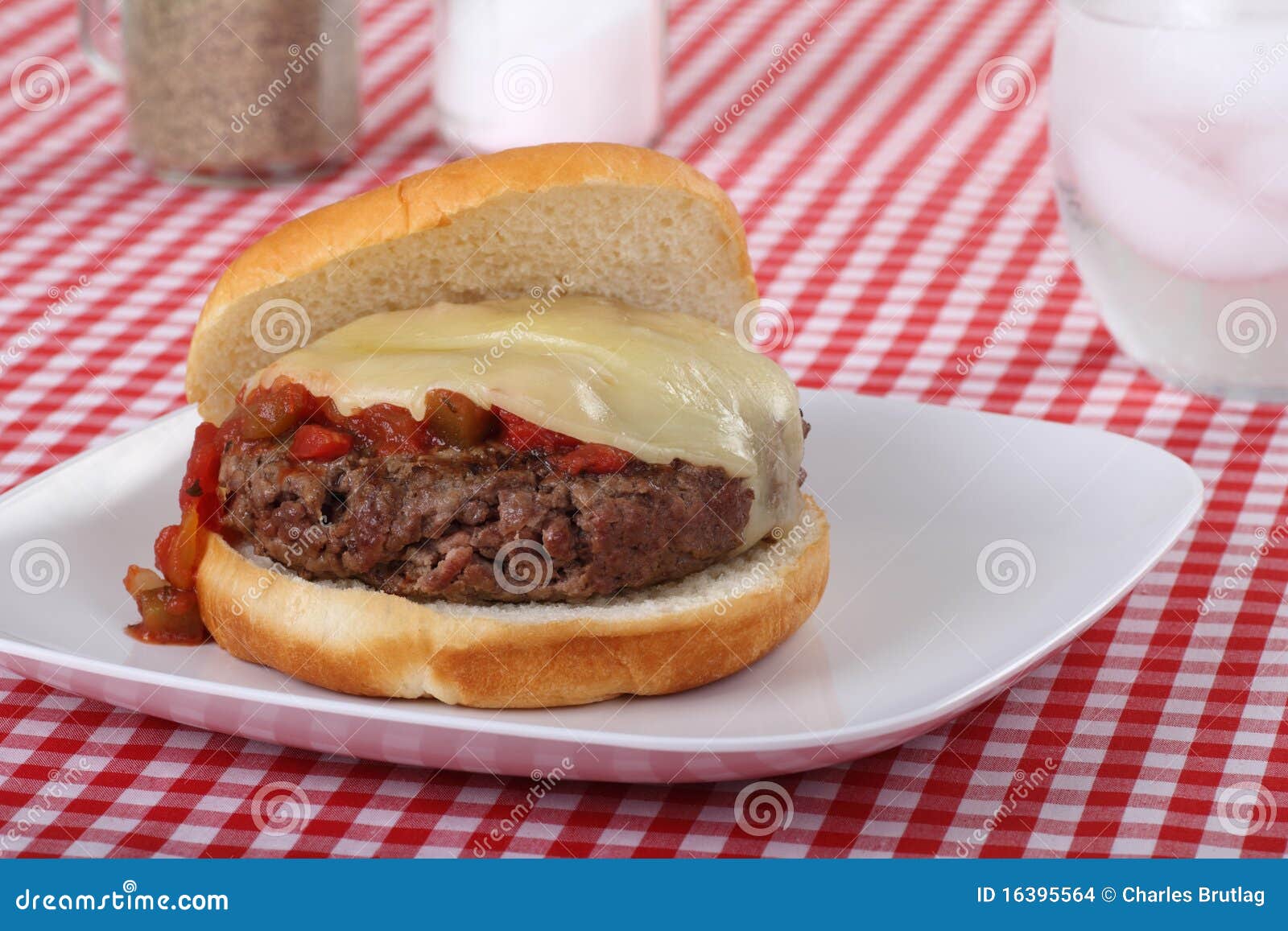Salsa Burger stock photo. Image of meal, beef, meat, plate - 16395564