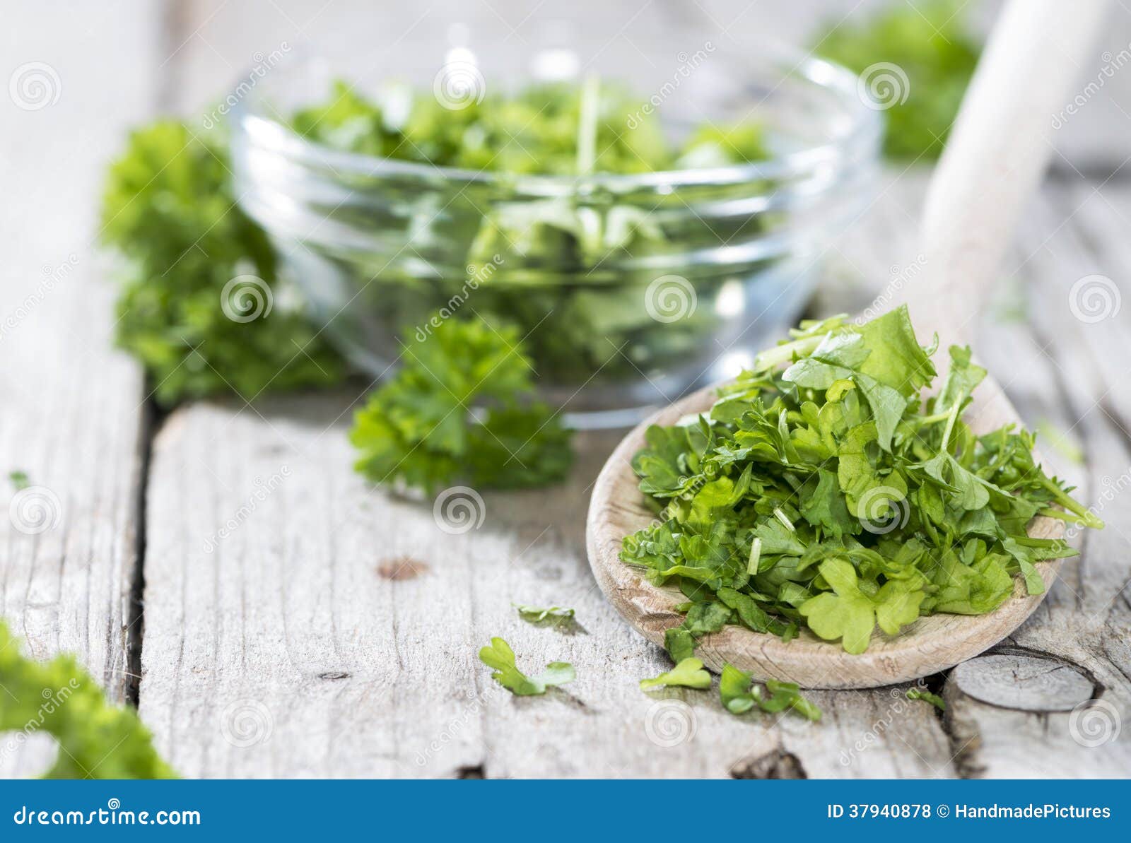 Salsa De Cutted Em Uma Colher De Madeira Foto de Stock - Imagem de ...