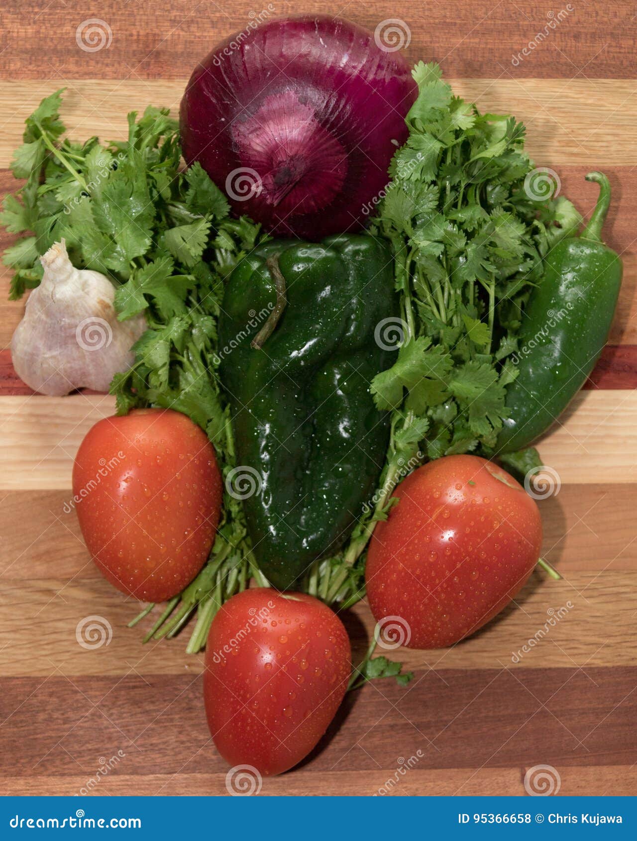 Salsa! stock photo. Image of diet, healthy, food, nutrition - 95366658