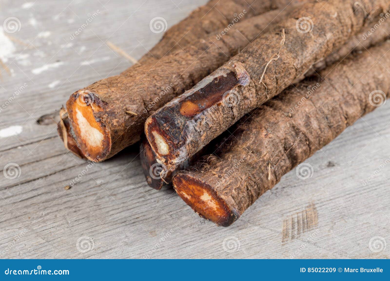 Salsifies on wood stock image. Image of organic, wood - 85022209